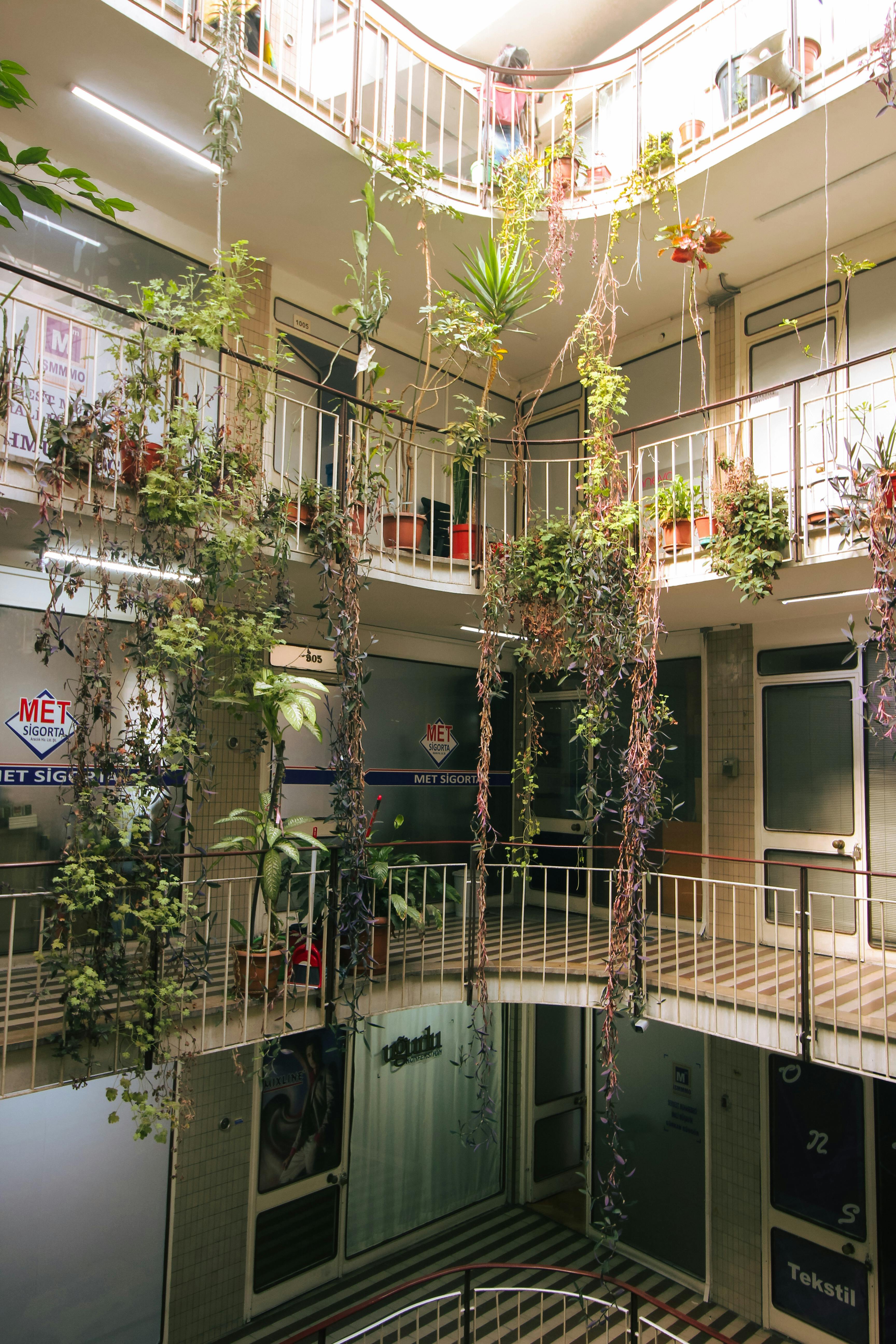 Hanging Indoor Garden in Multi-Level Building Atrium · Free Stock Photo