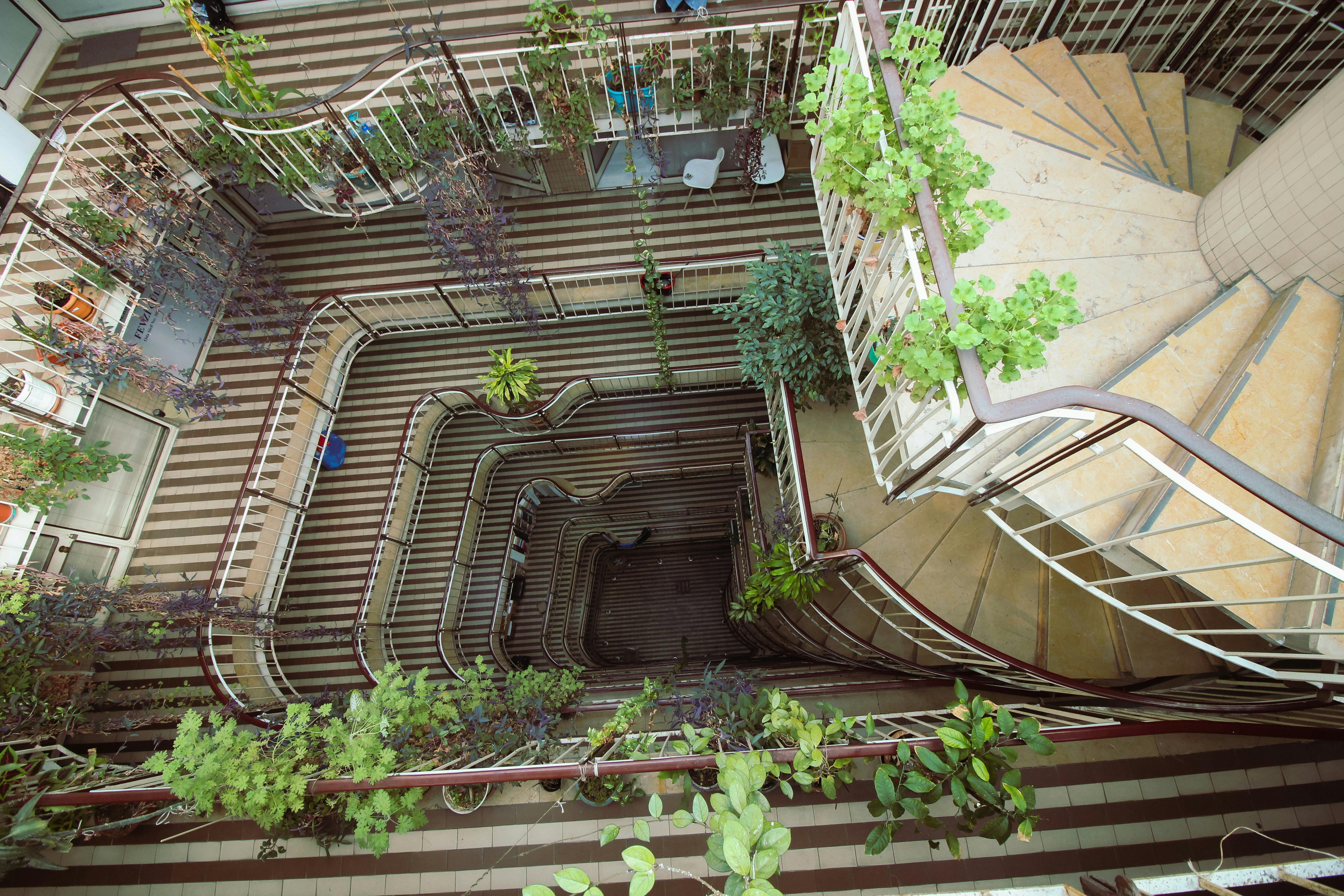 Aerial View of Indoor Plant-filled Atrium · Free Stock Photo