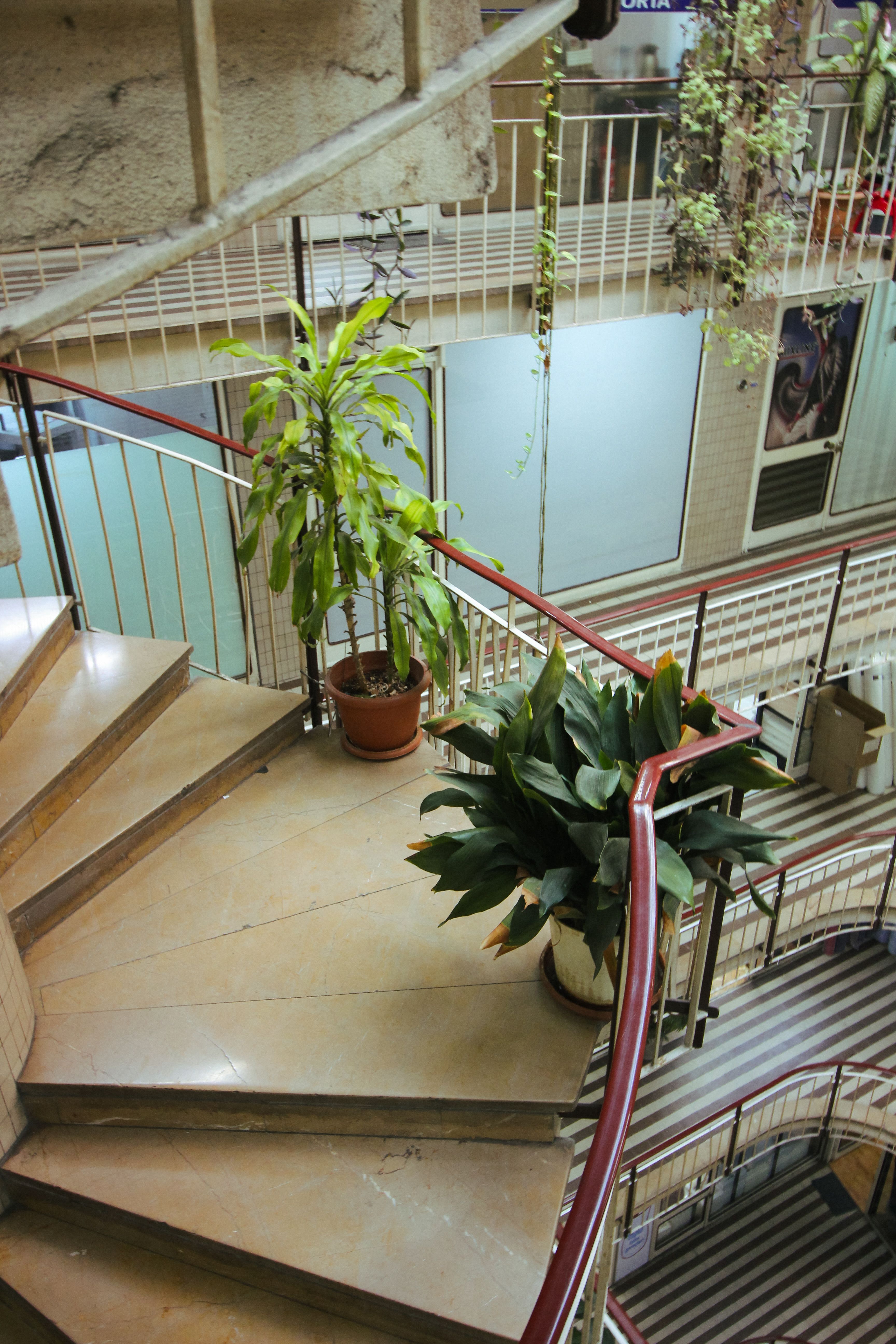 Semicircular Staircase Photos, Download The BEST Free Semicircular ...