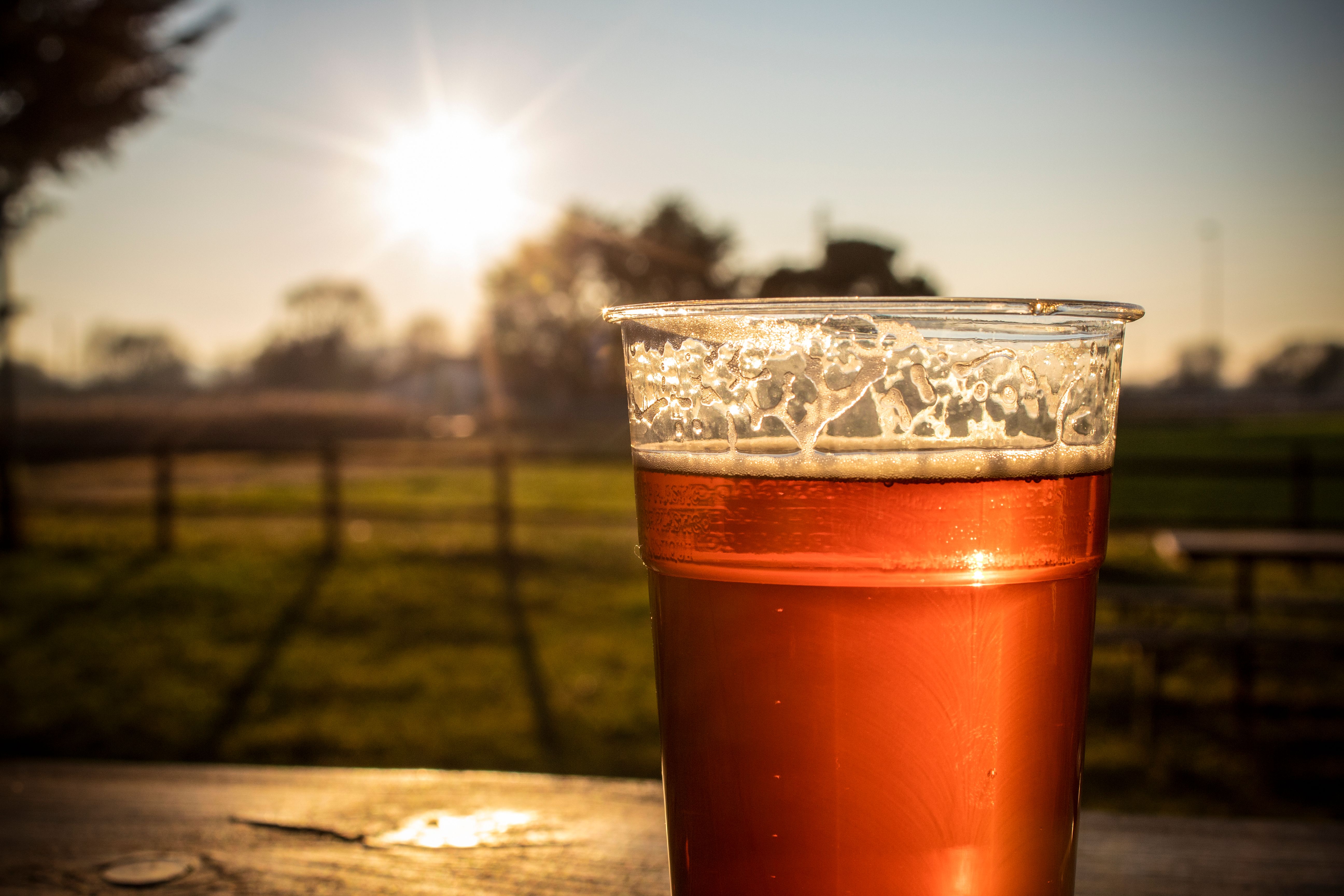Lebanese Beer Photos, Download The BEST Free Lebanese Beer Stock Photos ...