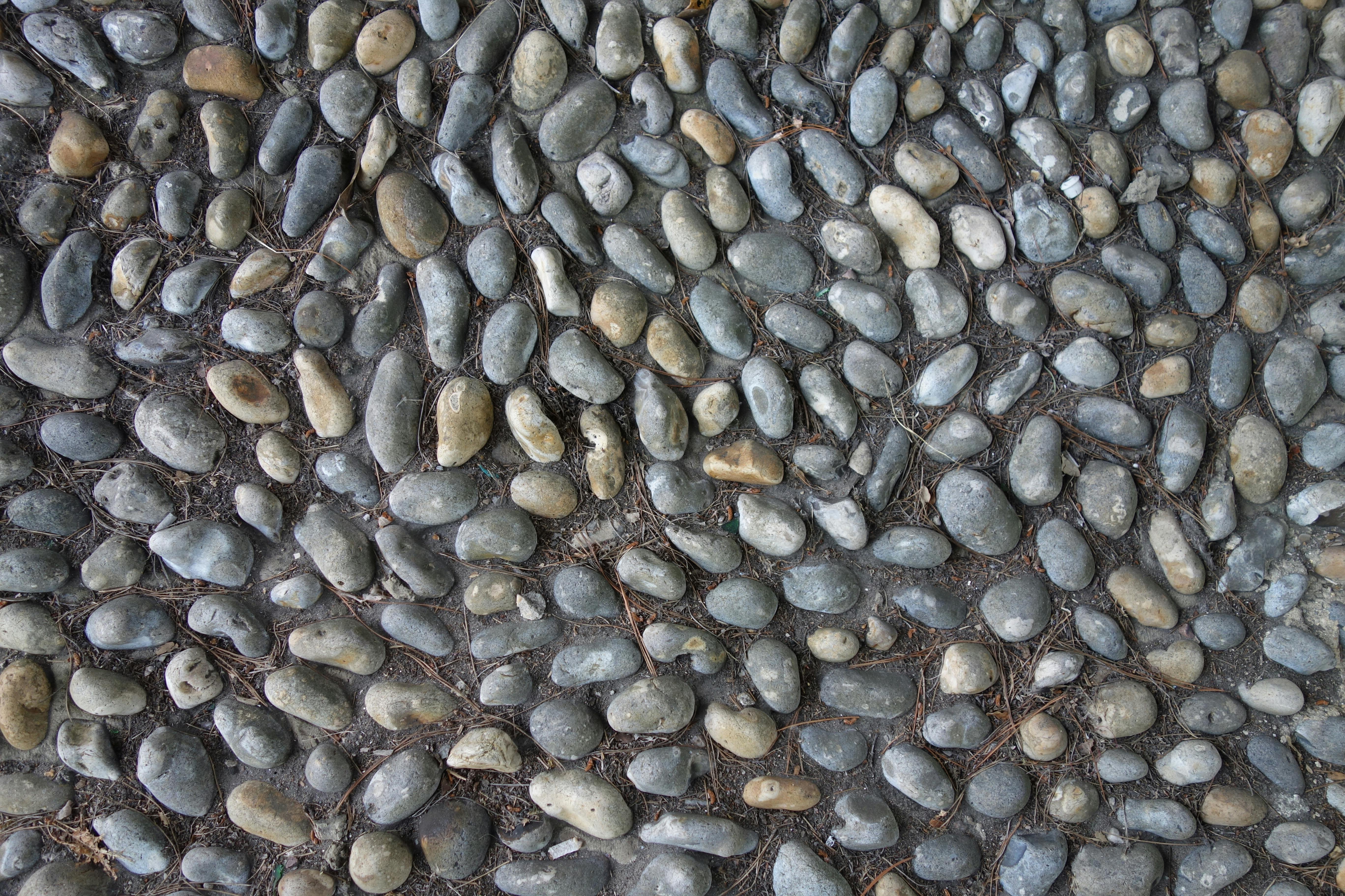 Natural Stone Pathway Texture Close-Up · Free Stock Photo