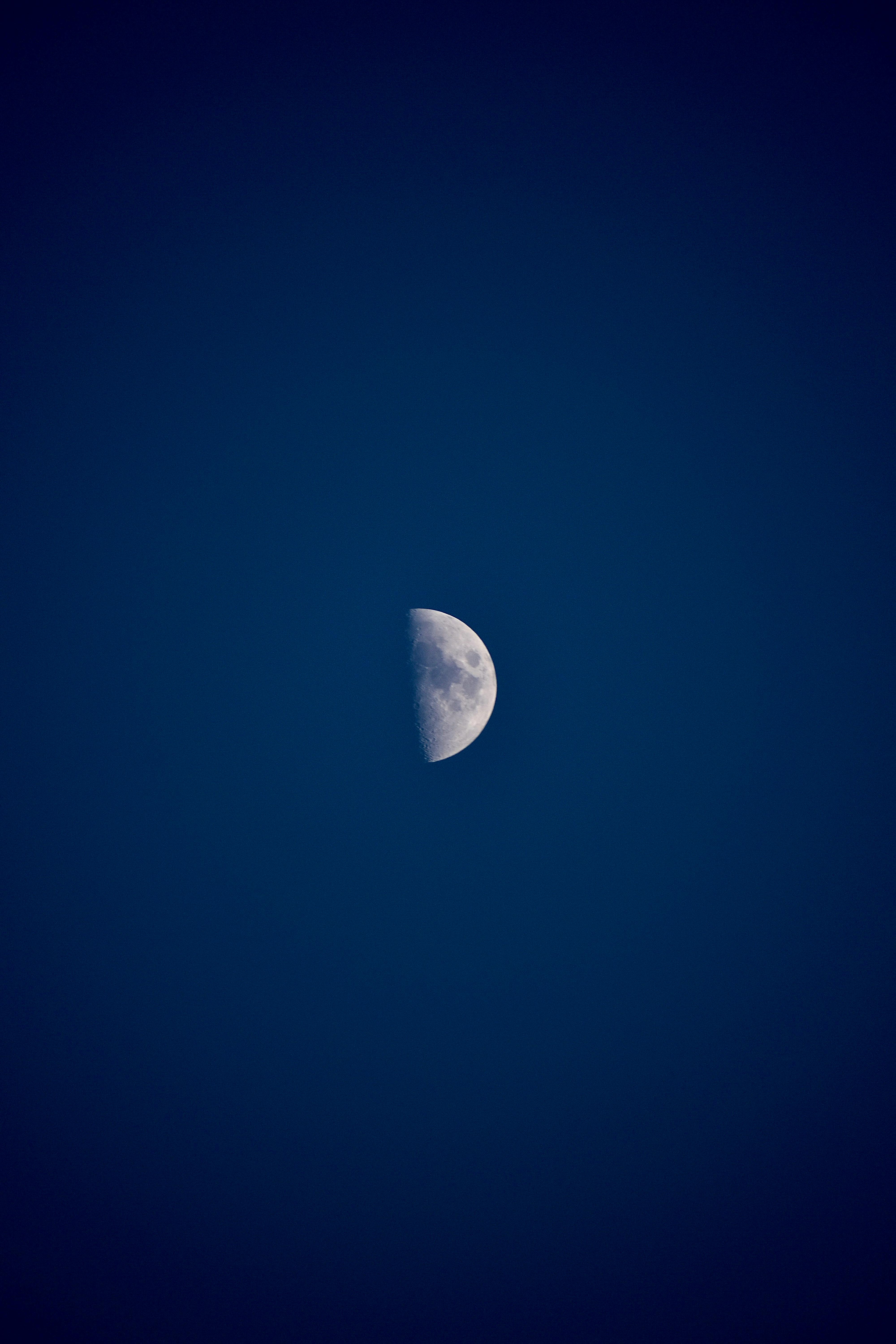 Half Moon Against Deep Blue Night Sky · Free Stock Photo
