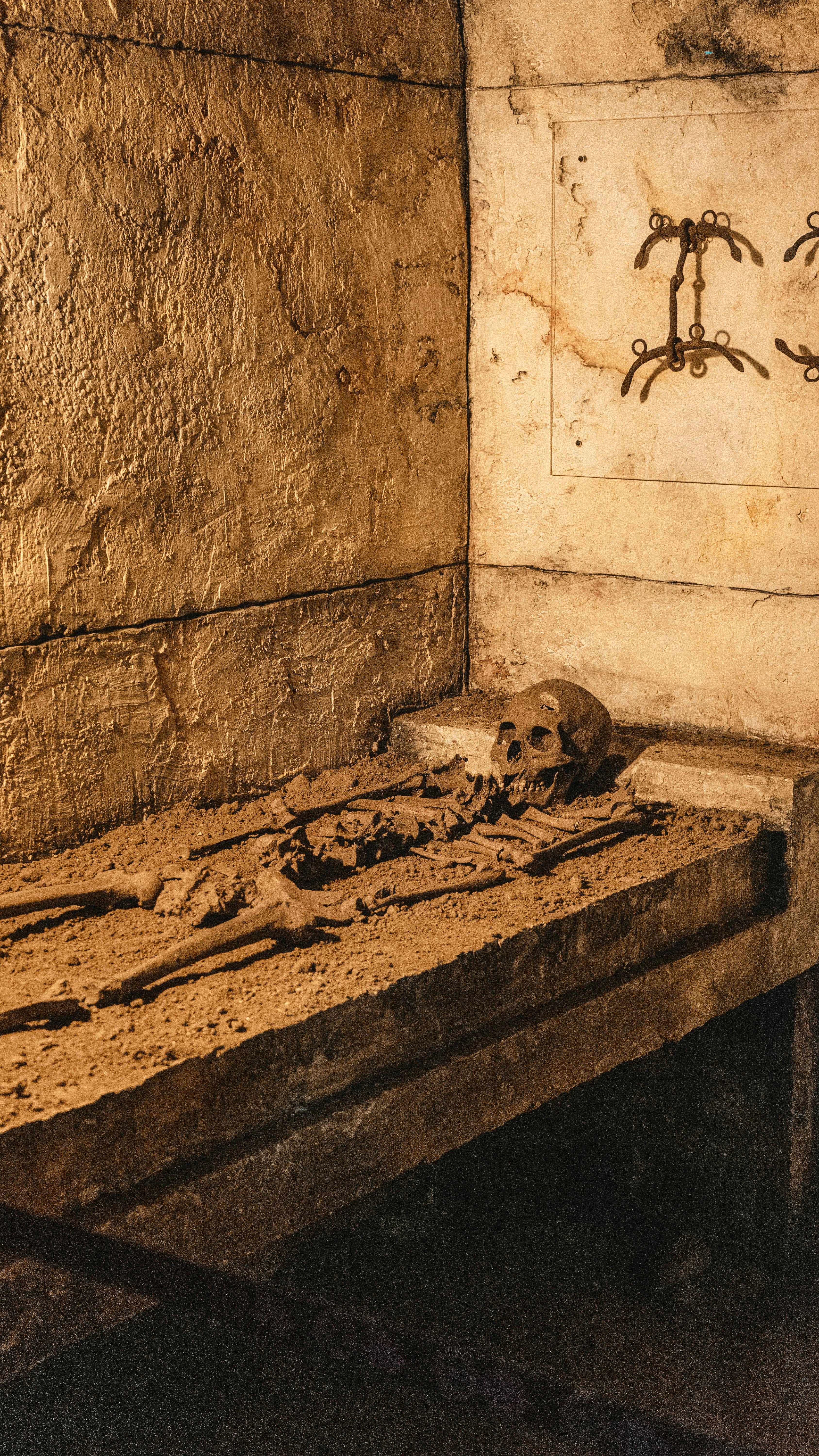 Ancient Burial Site with Human Skeleton · Free Stock Photo