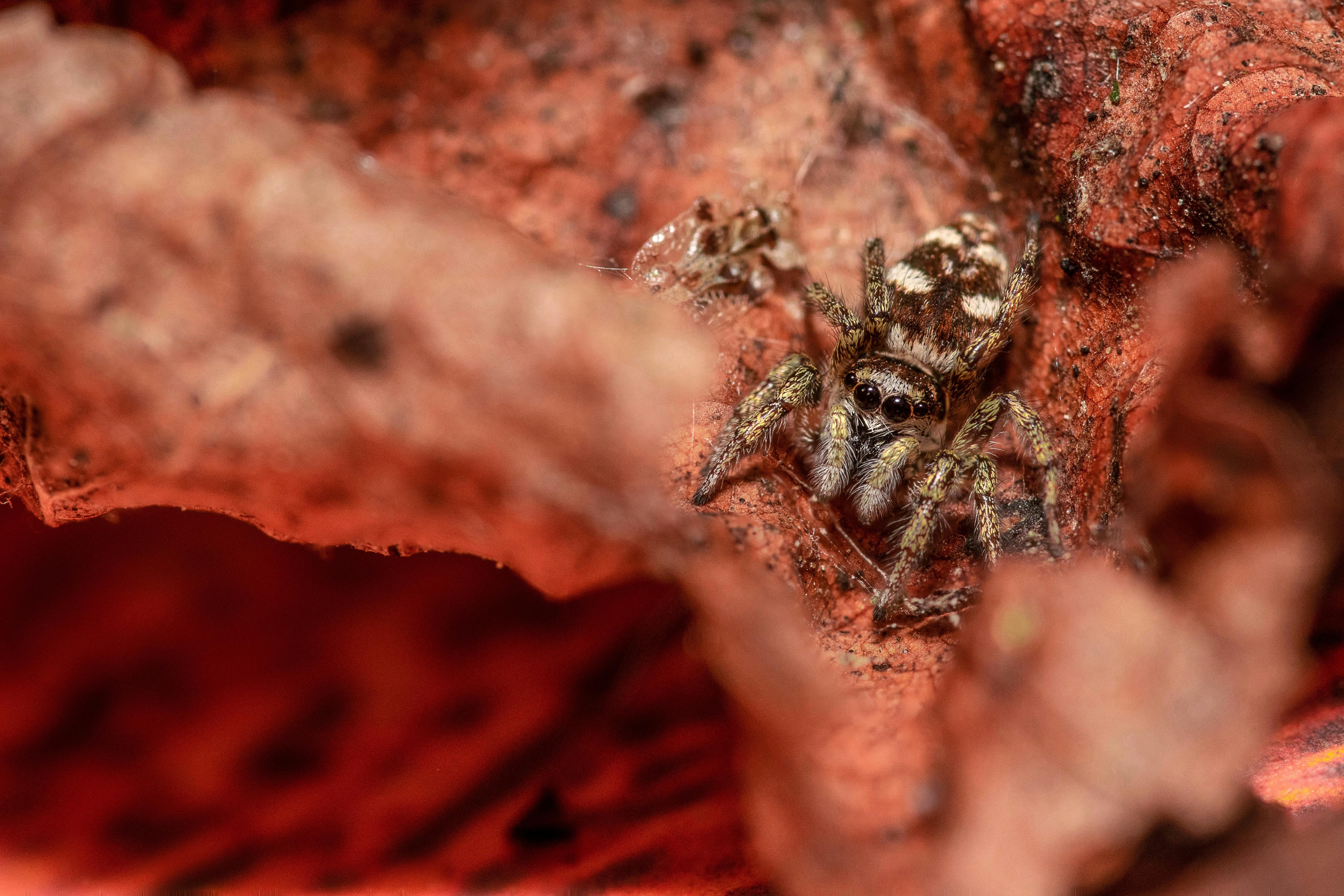 Falling In Hell Photos, Download The BEST Free Falling In Hell Stock ...