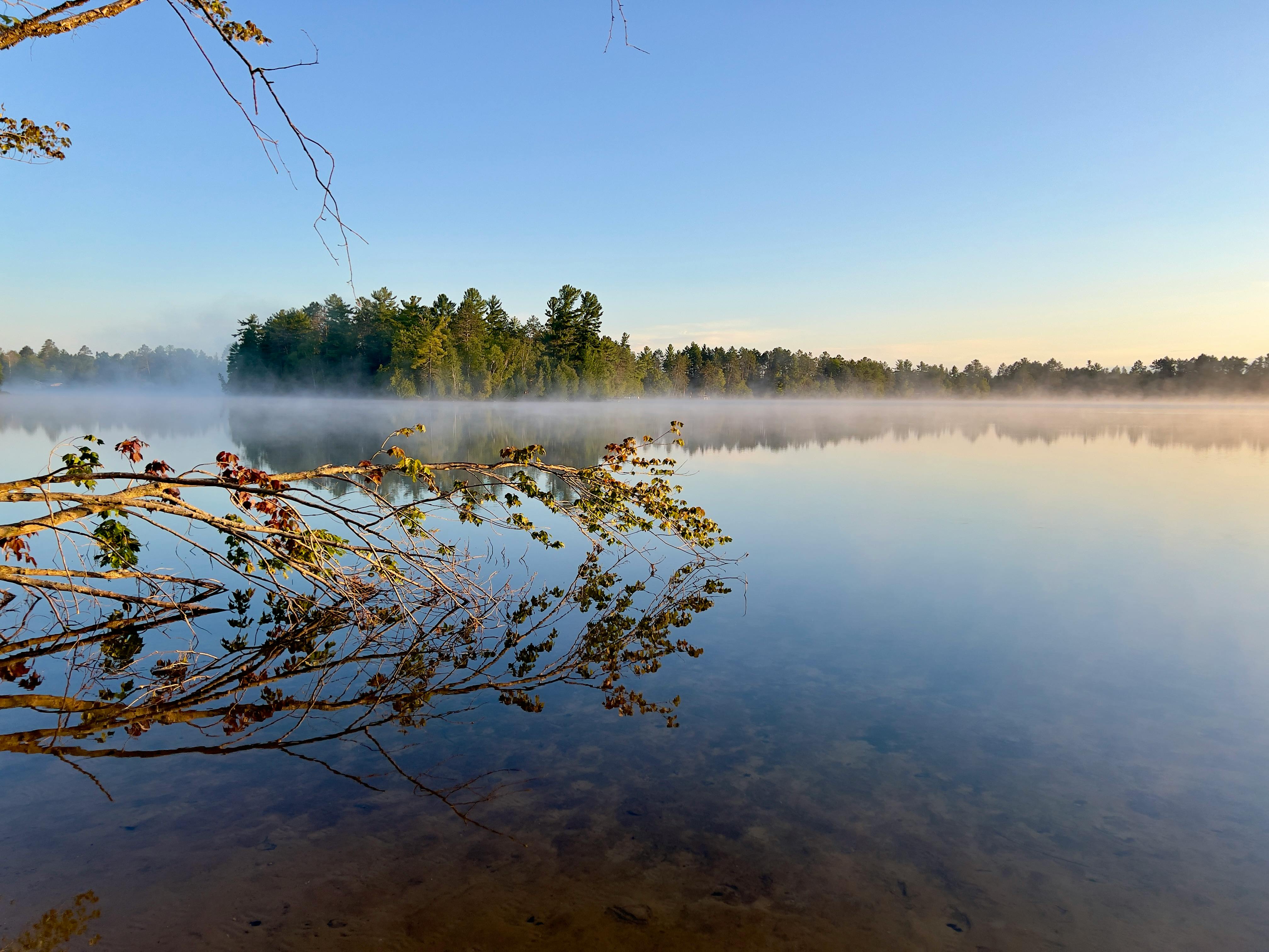 Serene Misty Lake Morning in Michigan · Free Stock Photo