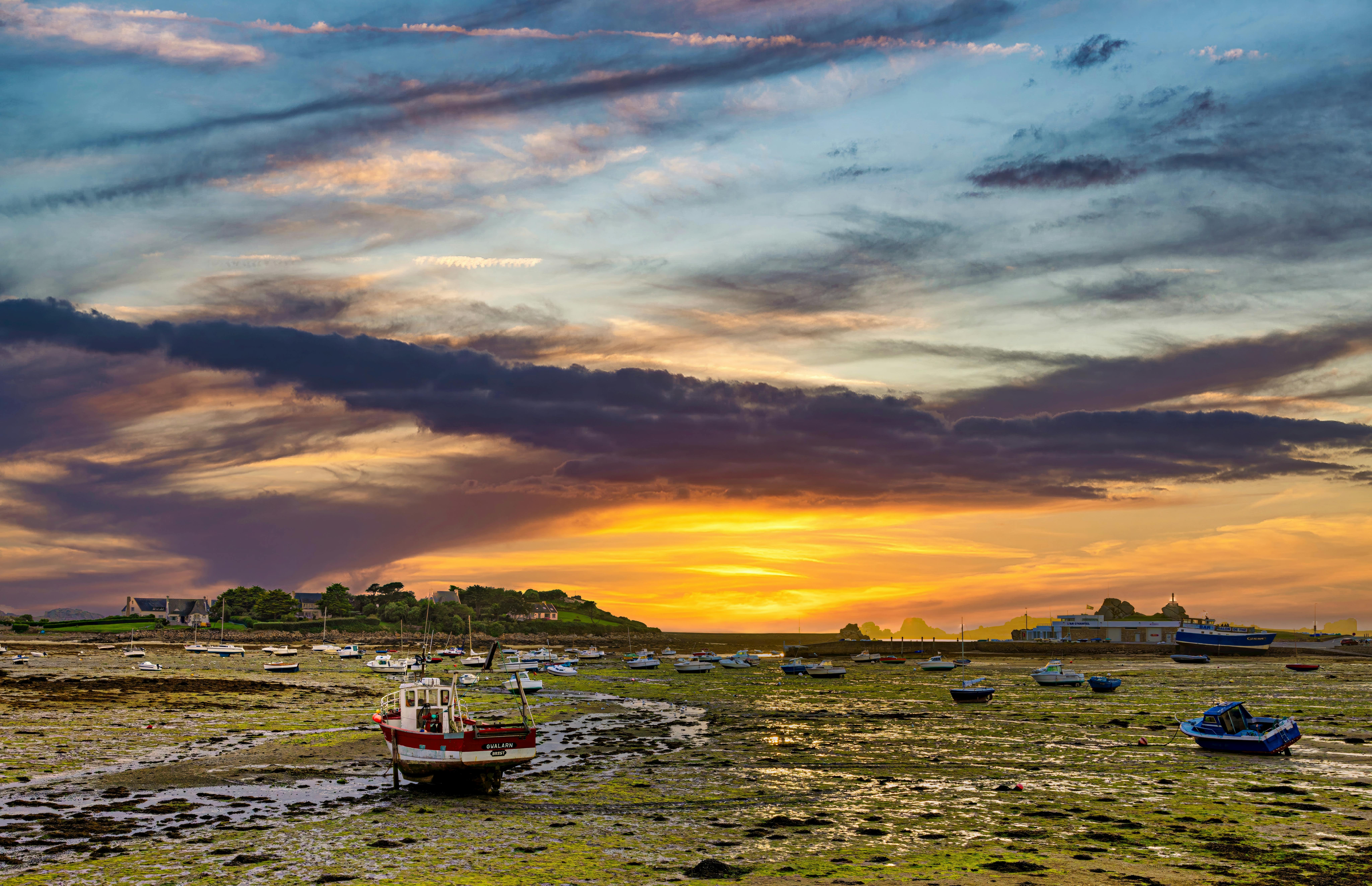 Vibrant Sunset over Coastal Low Tide Landscape · Free Stock Photo