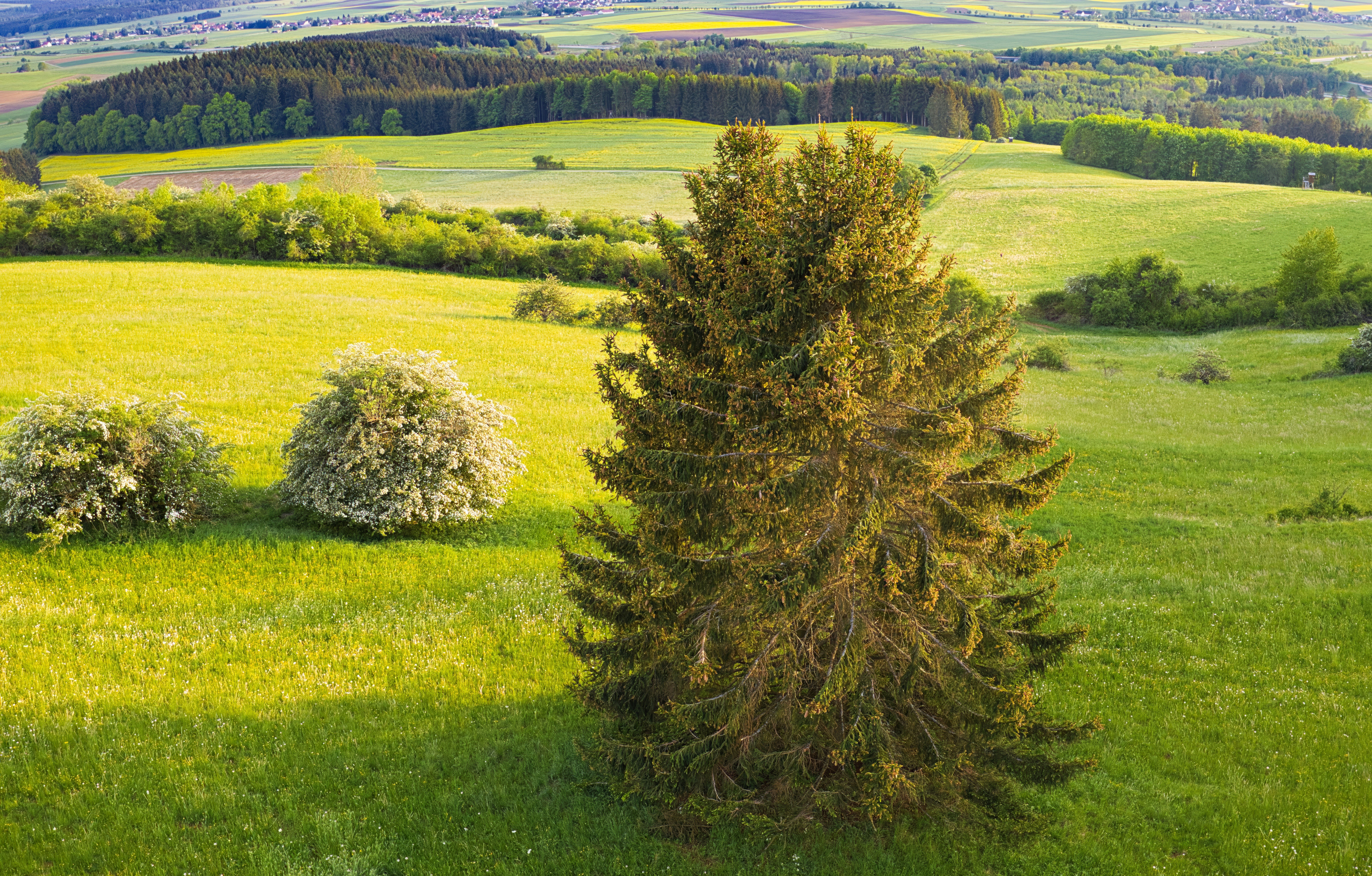 Spring Landscape of Fields and Forests in Black Forest · Free Stock Photo