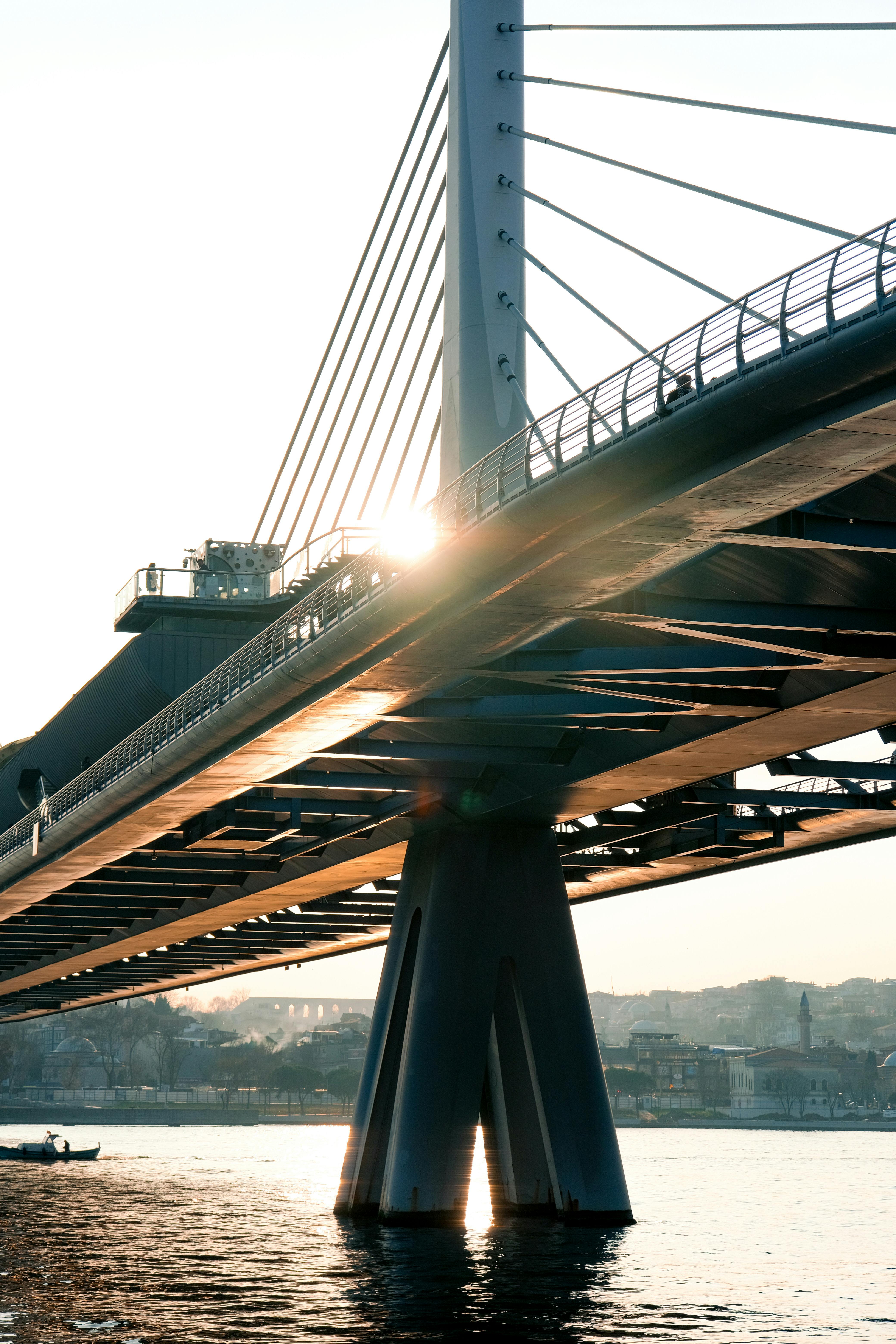 Engineering In Nature Photos, Download The BEST Free Engineering In ...