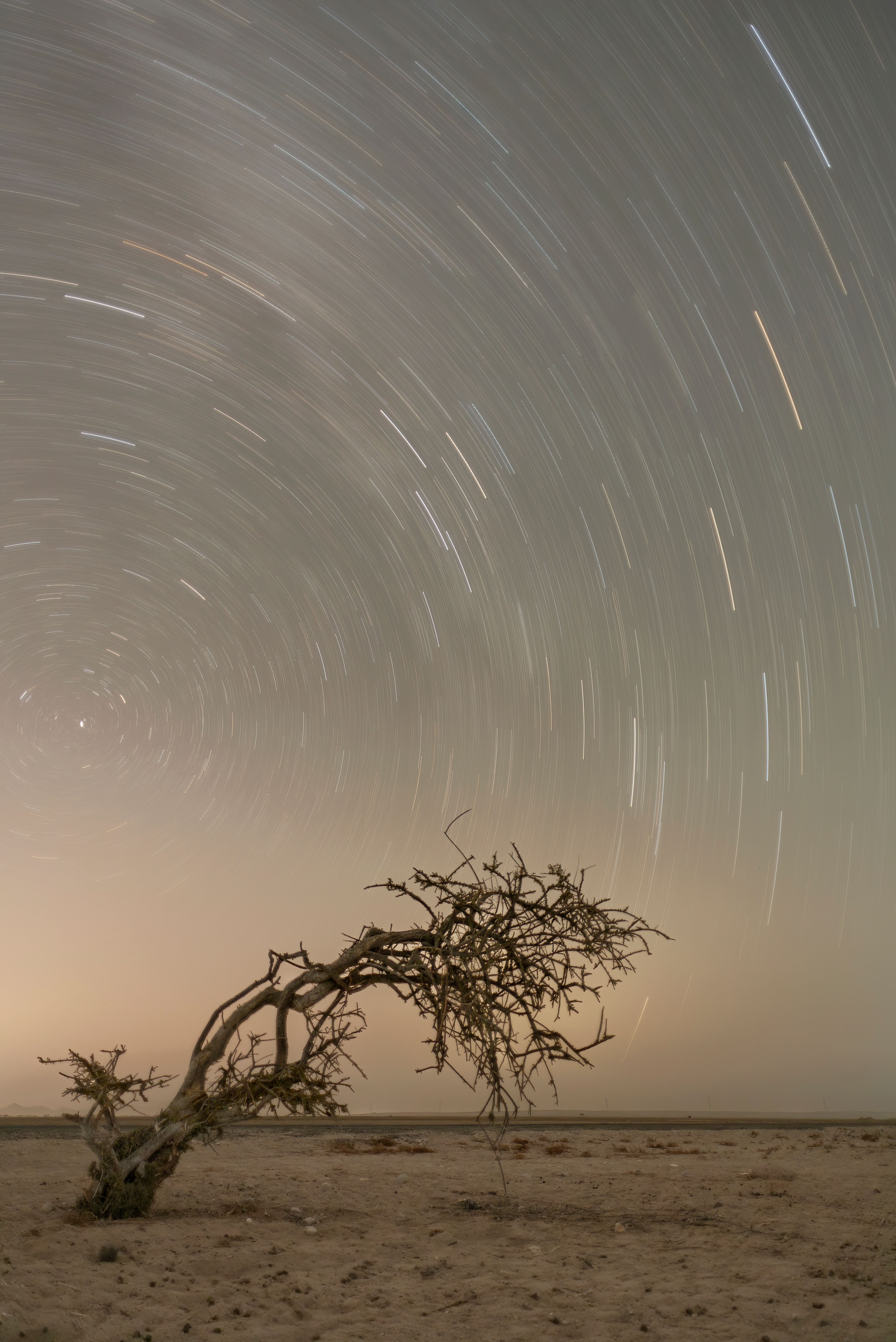 Stunning Night Sky Over Saudi Arabian Desert · Free Stock Photo