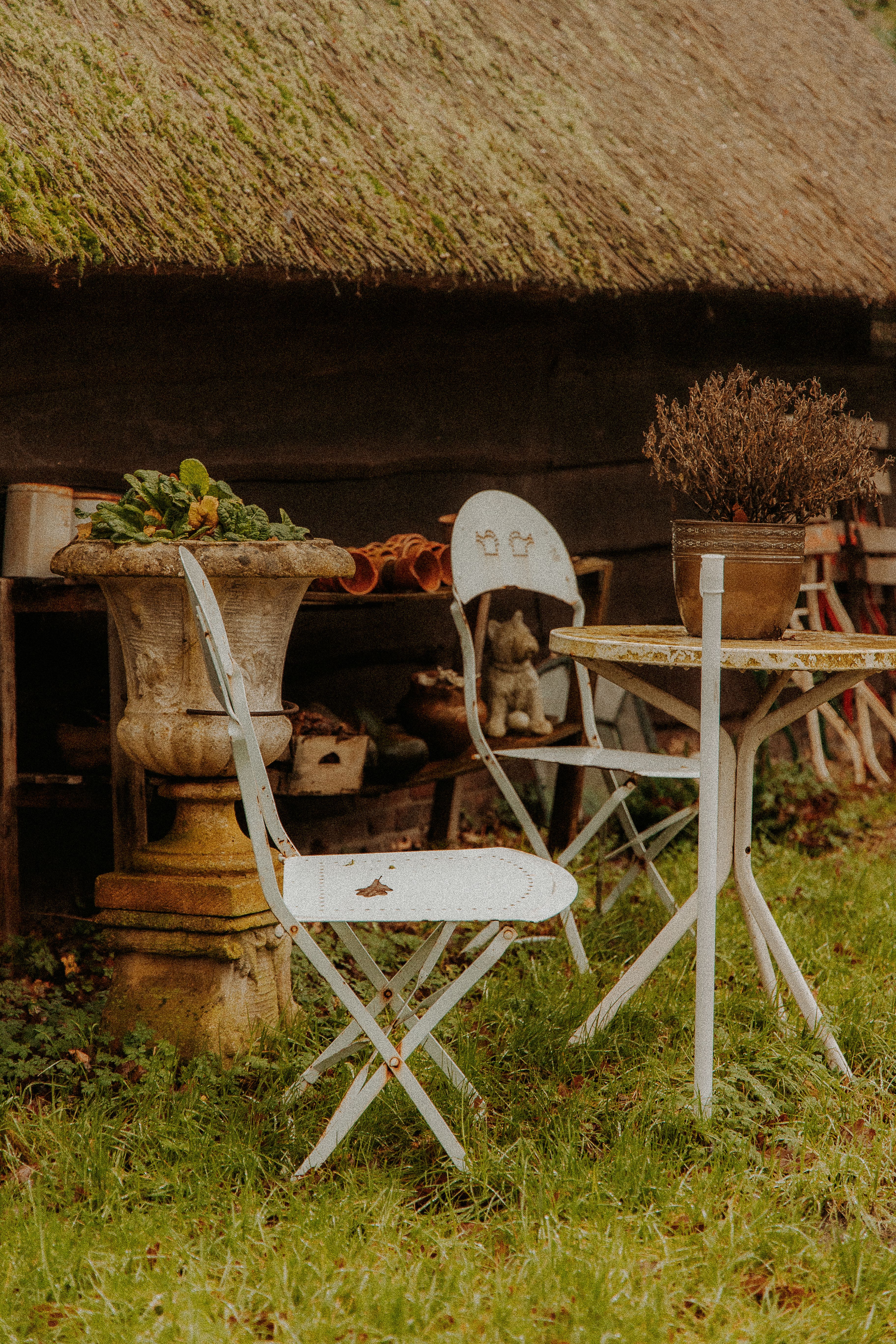 Rustic Garden Scene with Vintage Furniture · Free Stock Photo