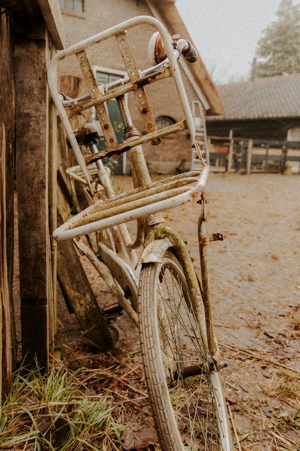 Bicycle Barn Photos, Download The BEST Free Bicycle Barn Stock Photos ...