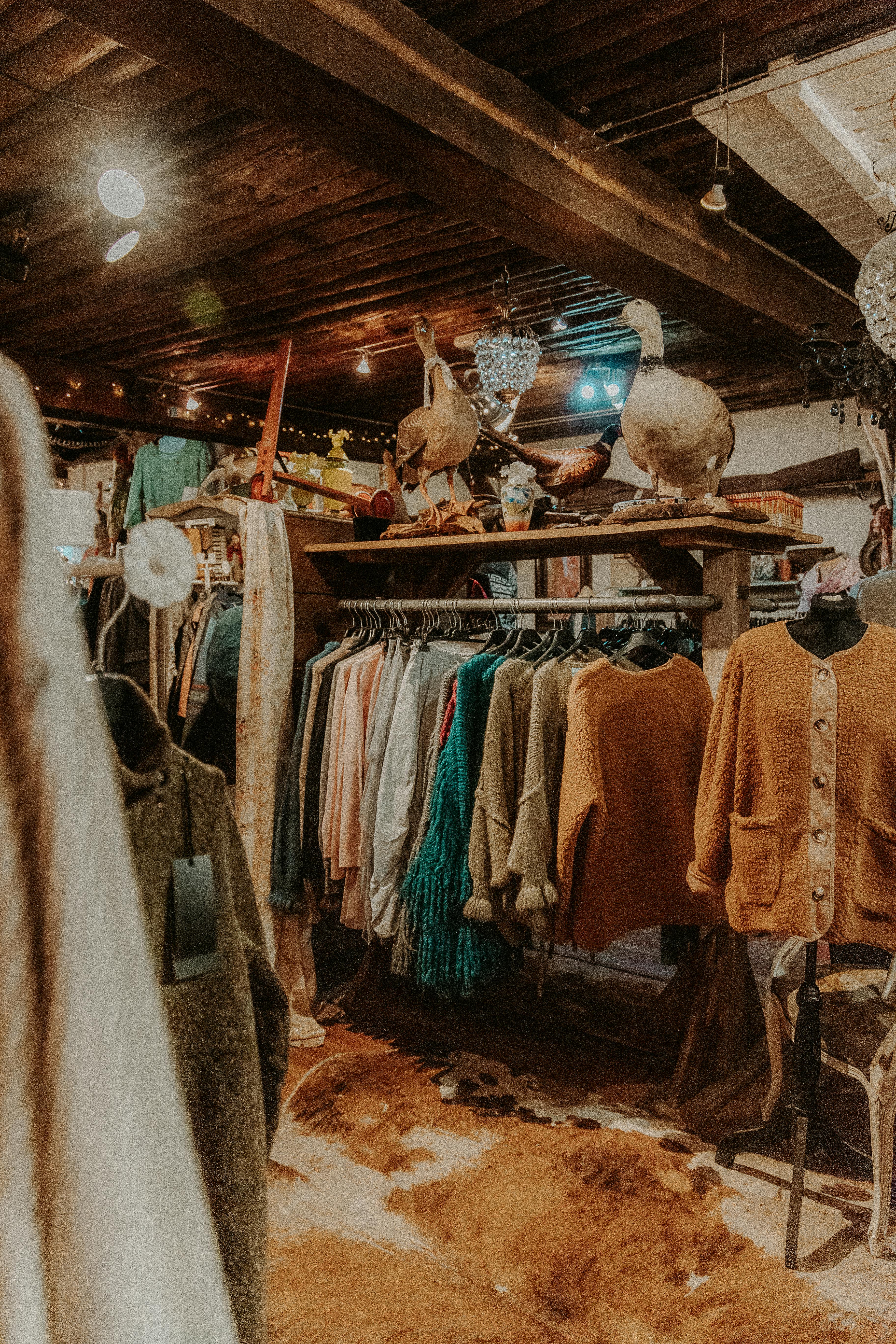 Rustic Boutique Interior with Vintage Decor · Free Stock Photo