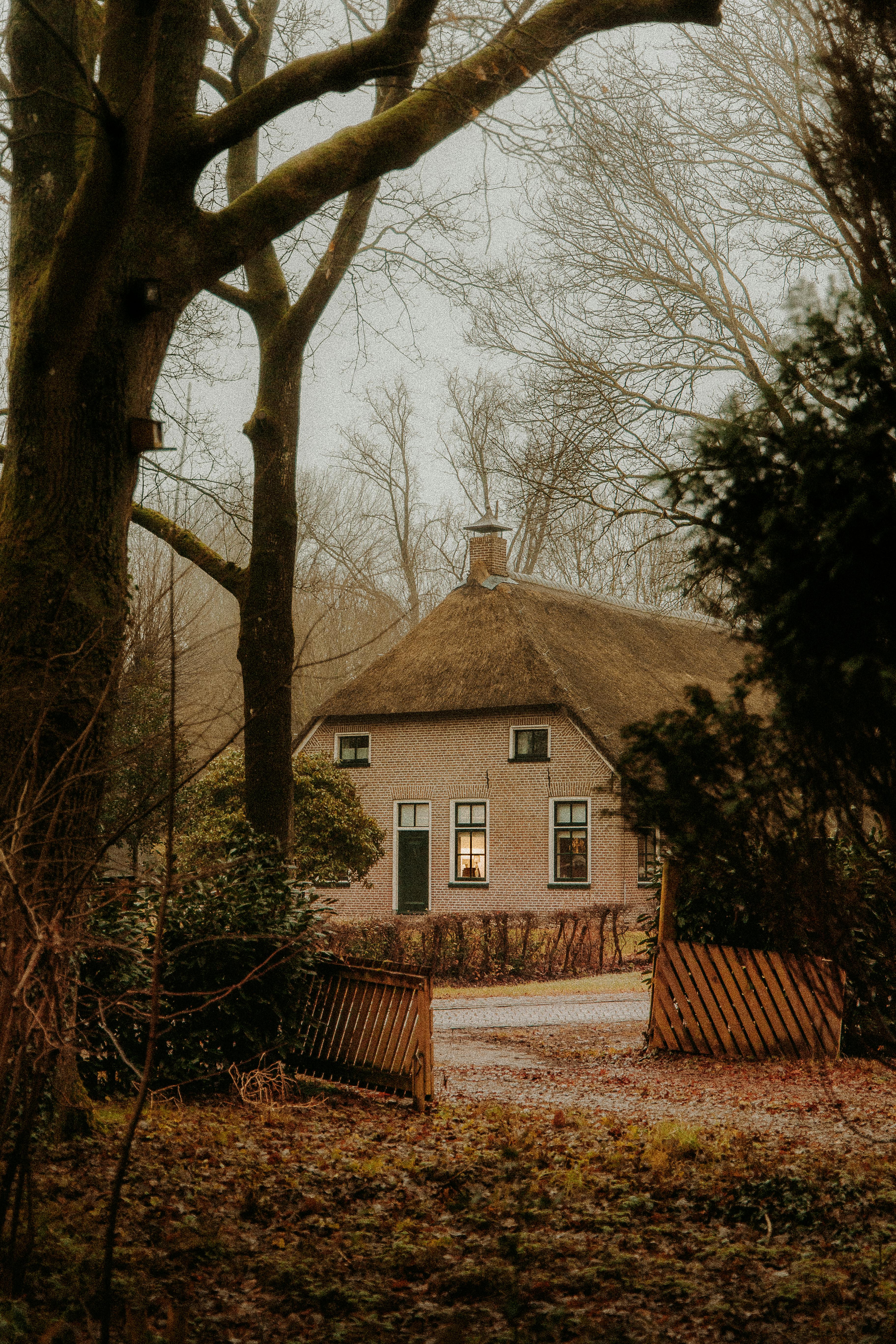 Charming Rustic Cottage Amidst Tall Trees · Free Stock Photo