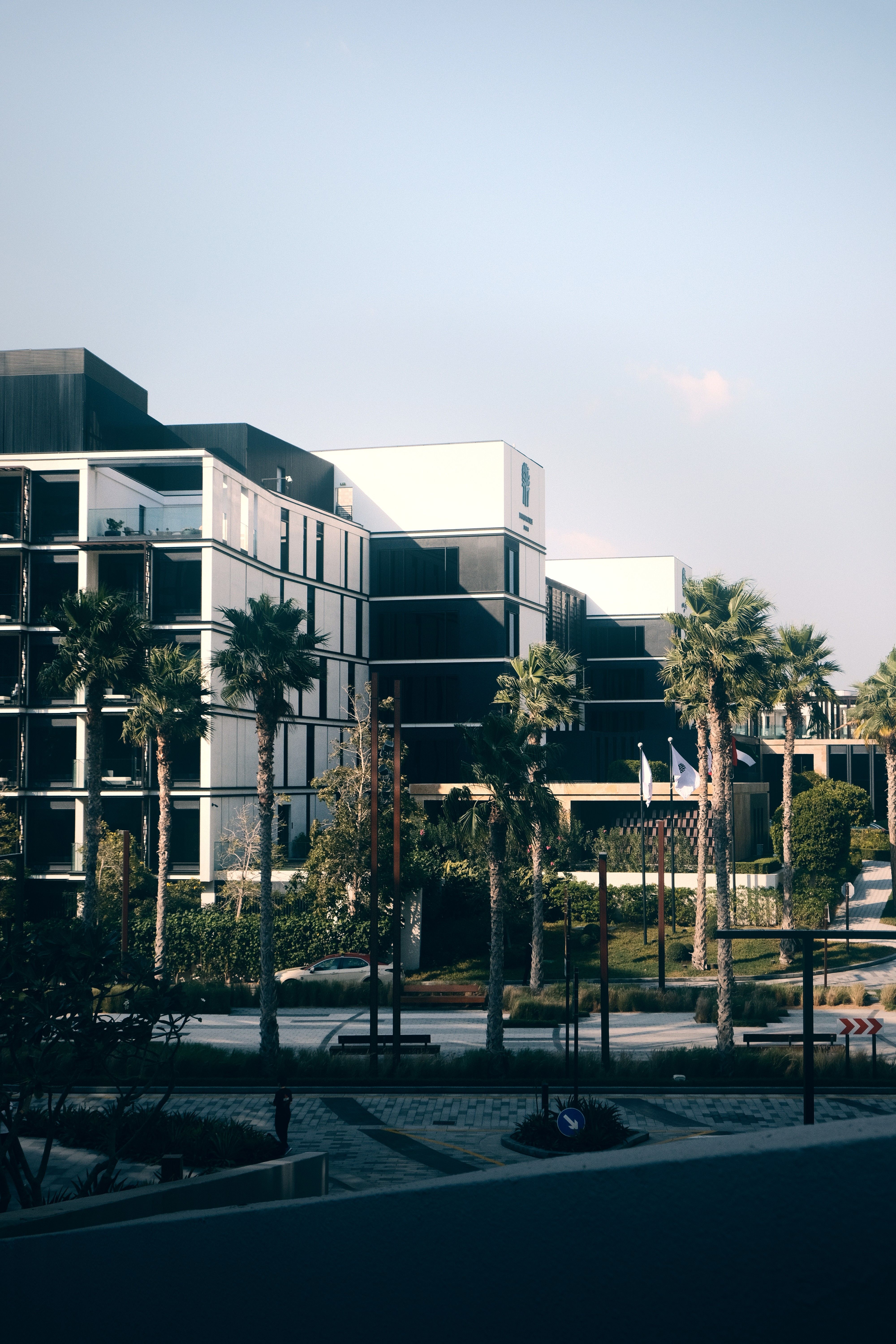 Modern Urban Architecture with Palm Trees · Free Stock Photo