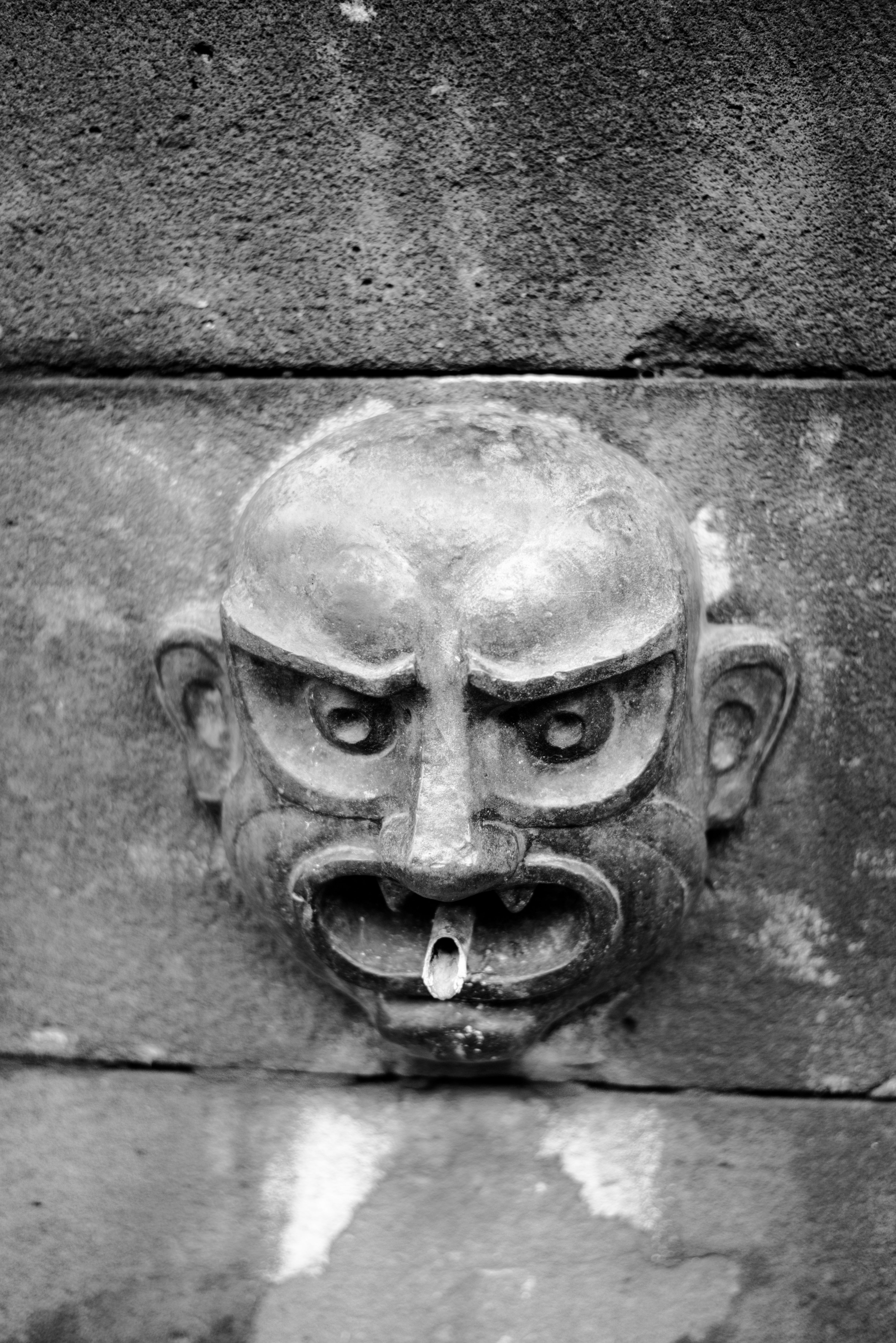 Spout Face Grono Photos, Download The BEST Free Spout Face Grono Stock ...