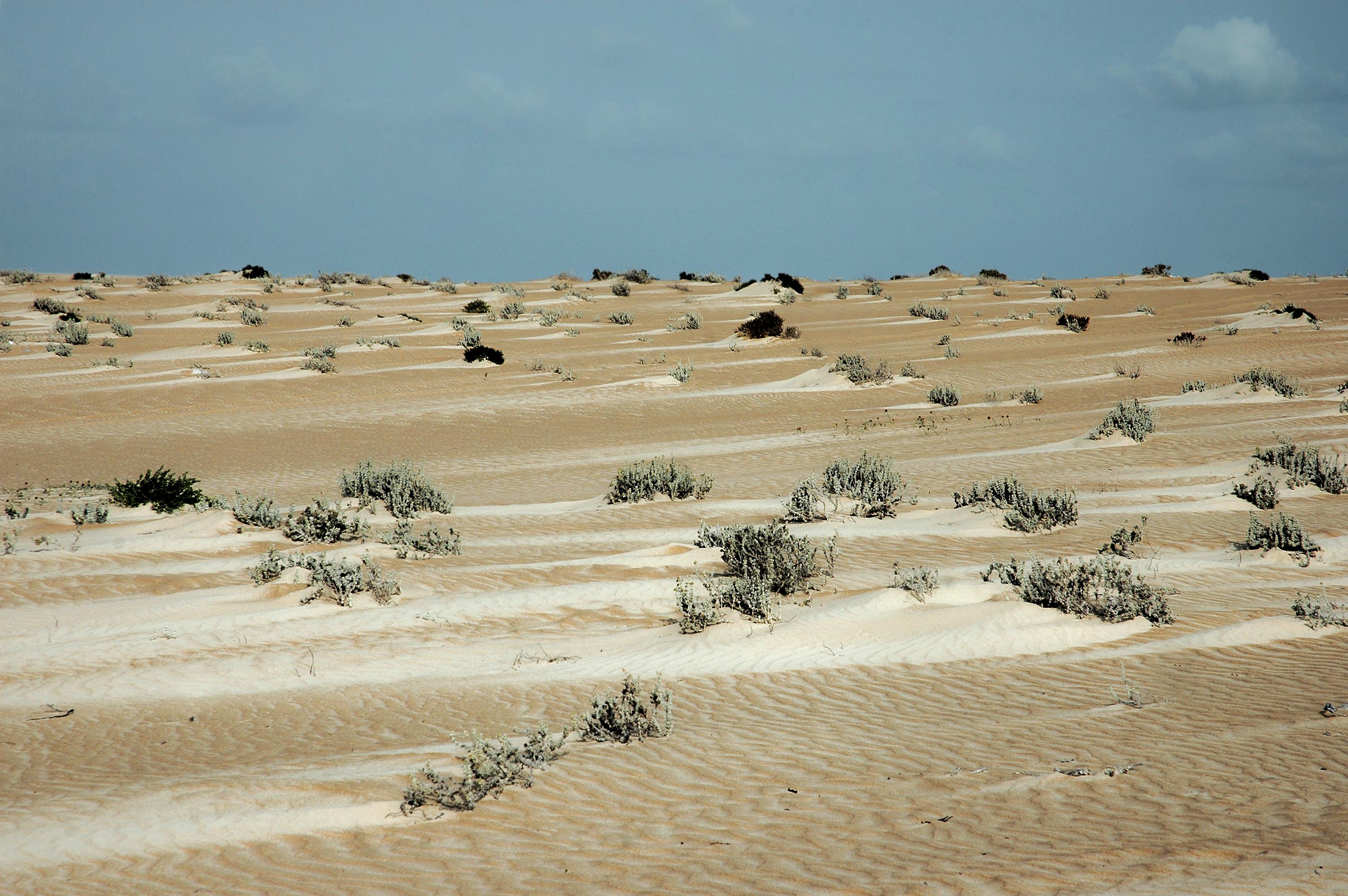 Expansive Desert Landscape in Tan-Tan, Morocco · Free Stock Photo