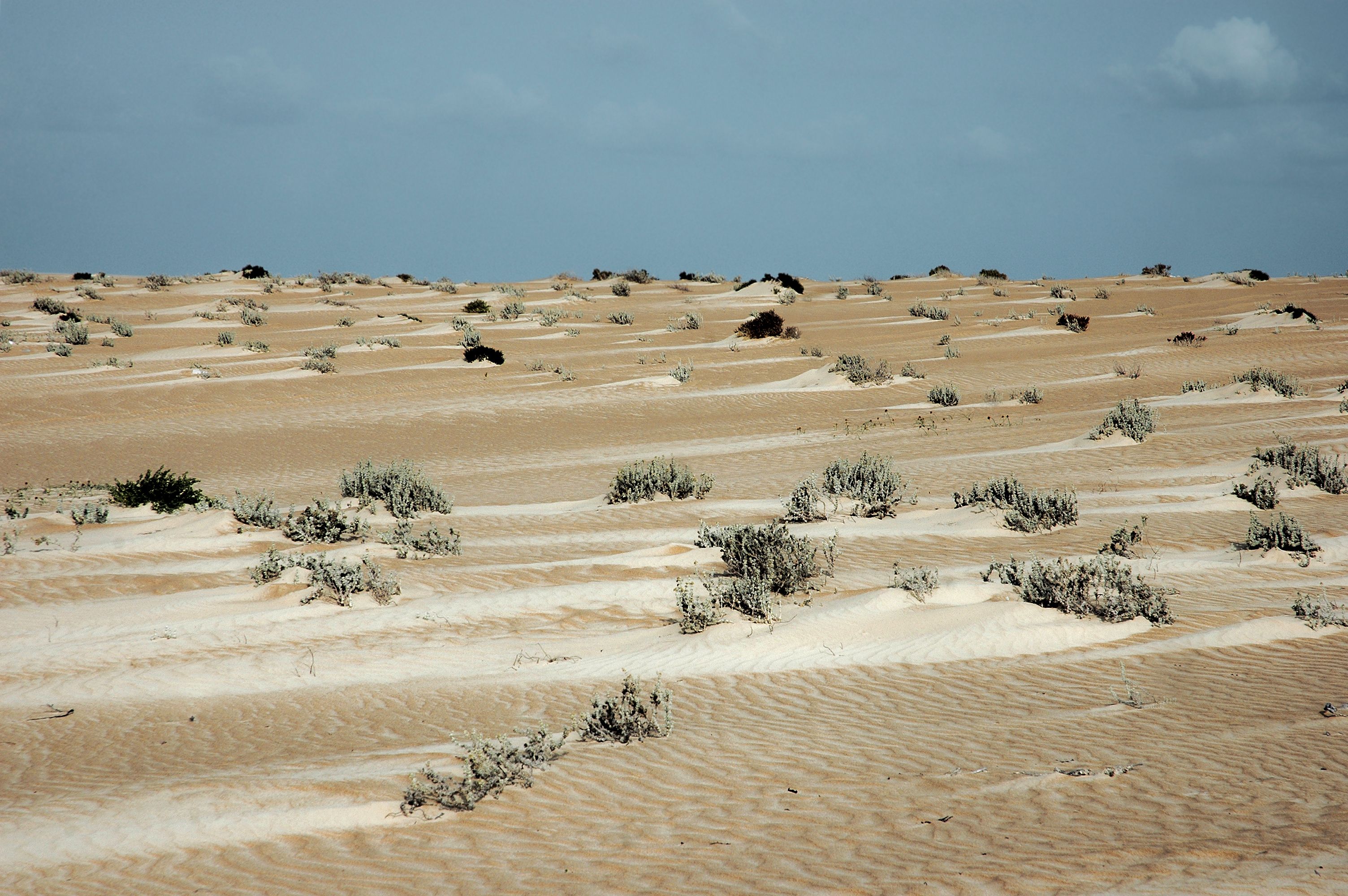 Expansive Desert Landscape in Tan-Tan, Morocco · Free Stock Photo