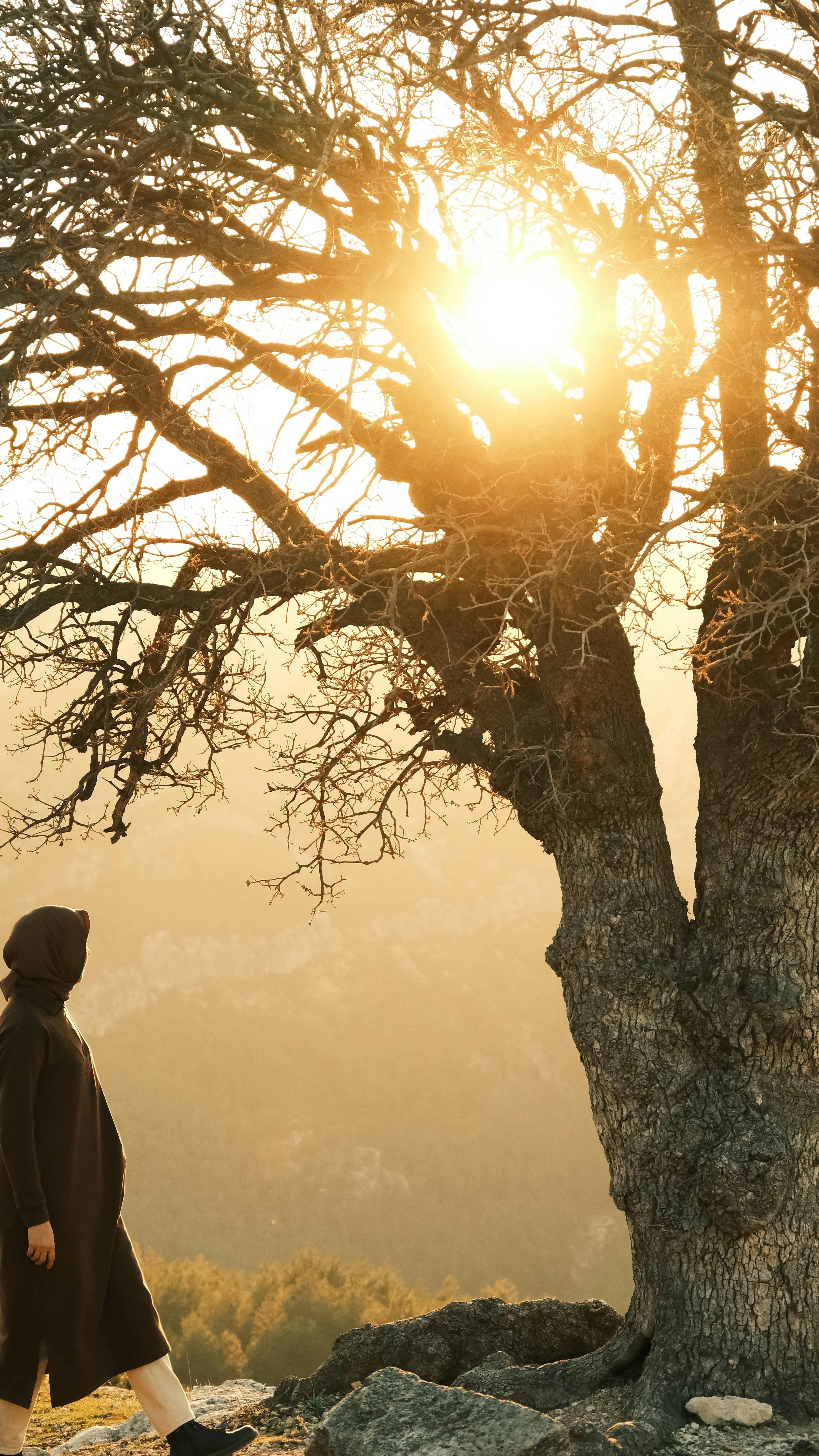 Shadow Walking Photos, Download The BEST Free Shadow Walking Stock ...