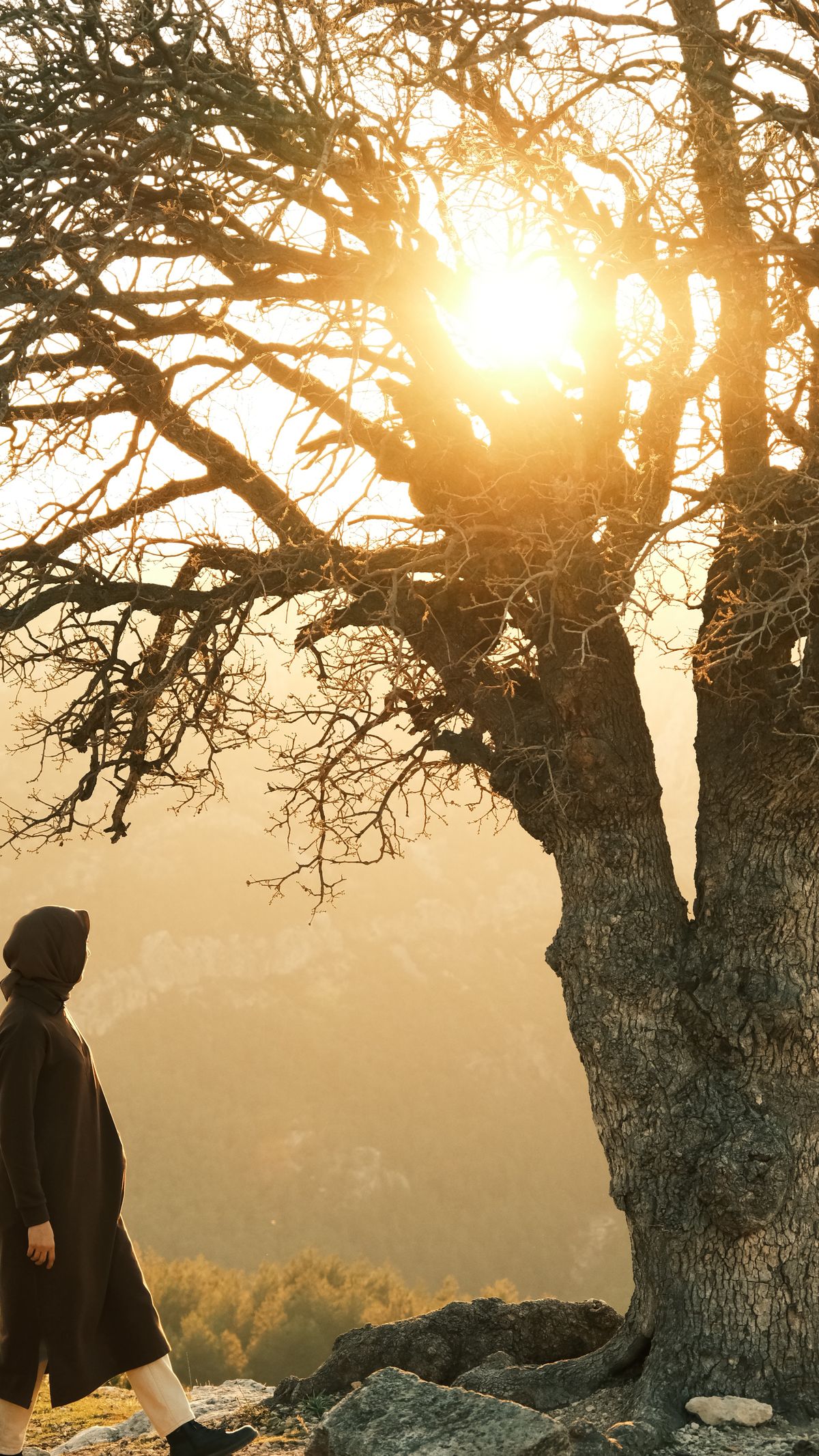 A Person Walking Slowly Toward Soft Sunlight, Back Facing Camera, Empty ...