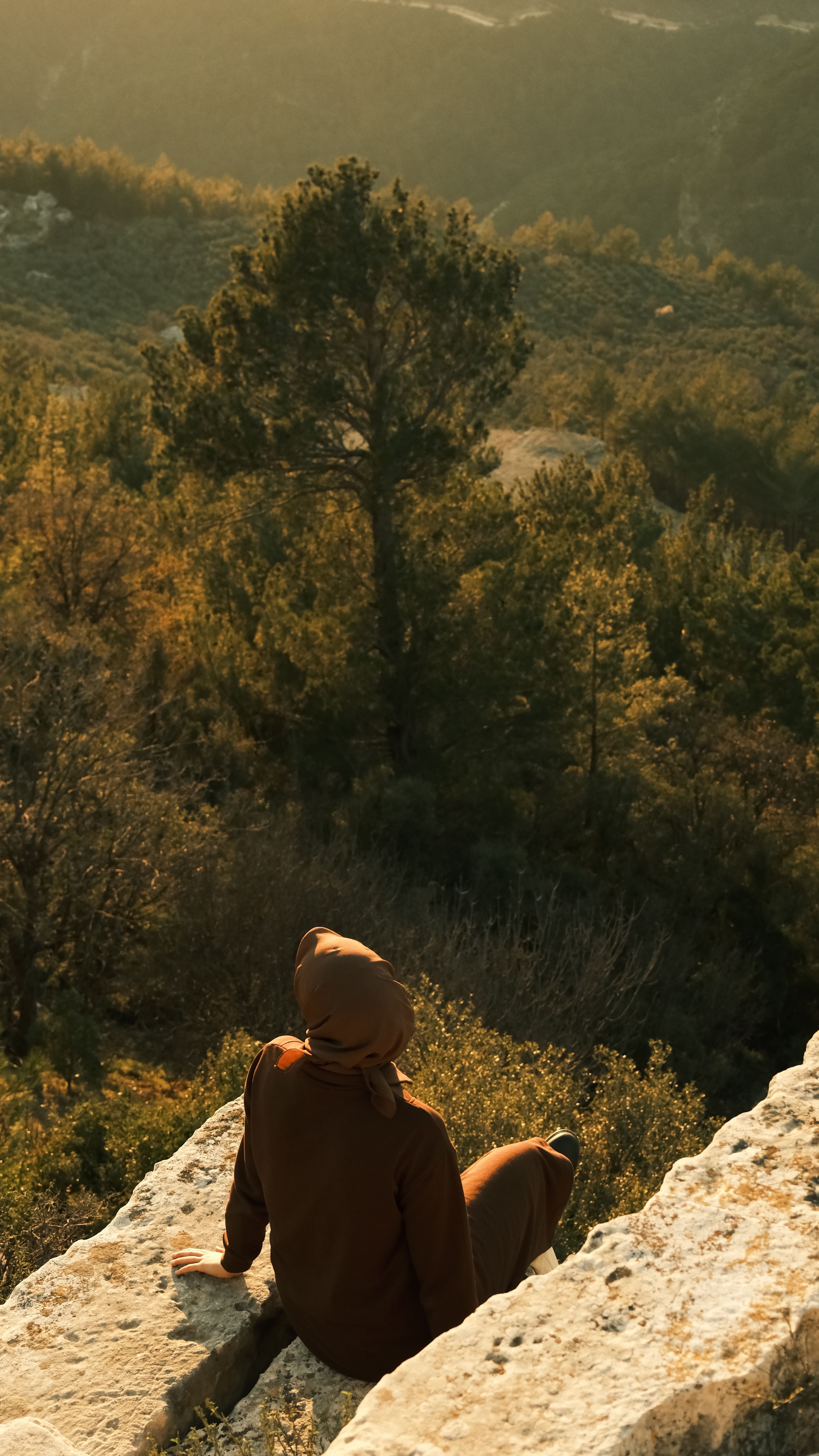 Person in Hooded Outfit Overlooking Forest Landscape · Free Stock Photo