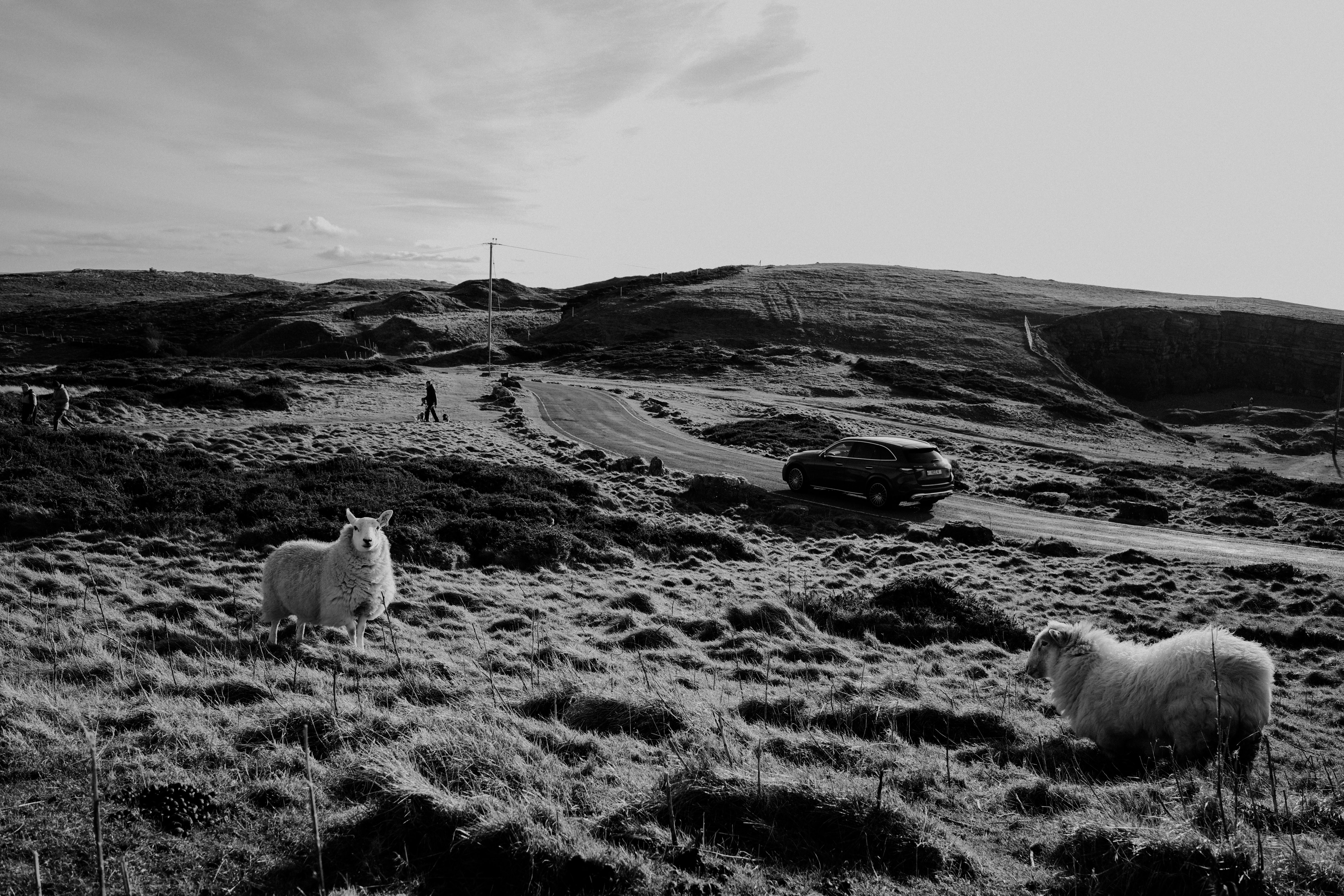 Scenic Welsh Landscape with Sheep Grazing · Free Stock Photo