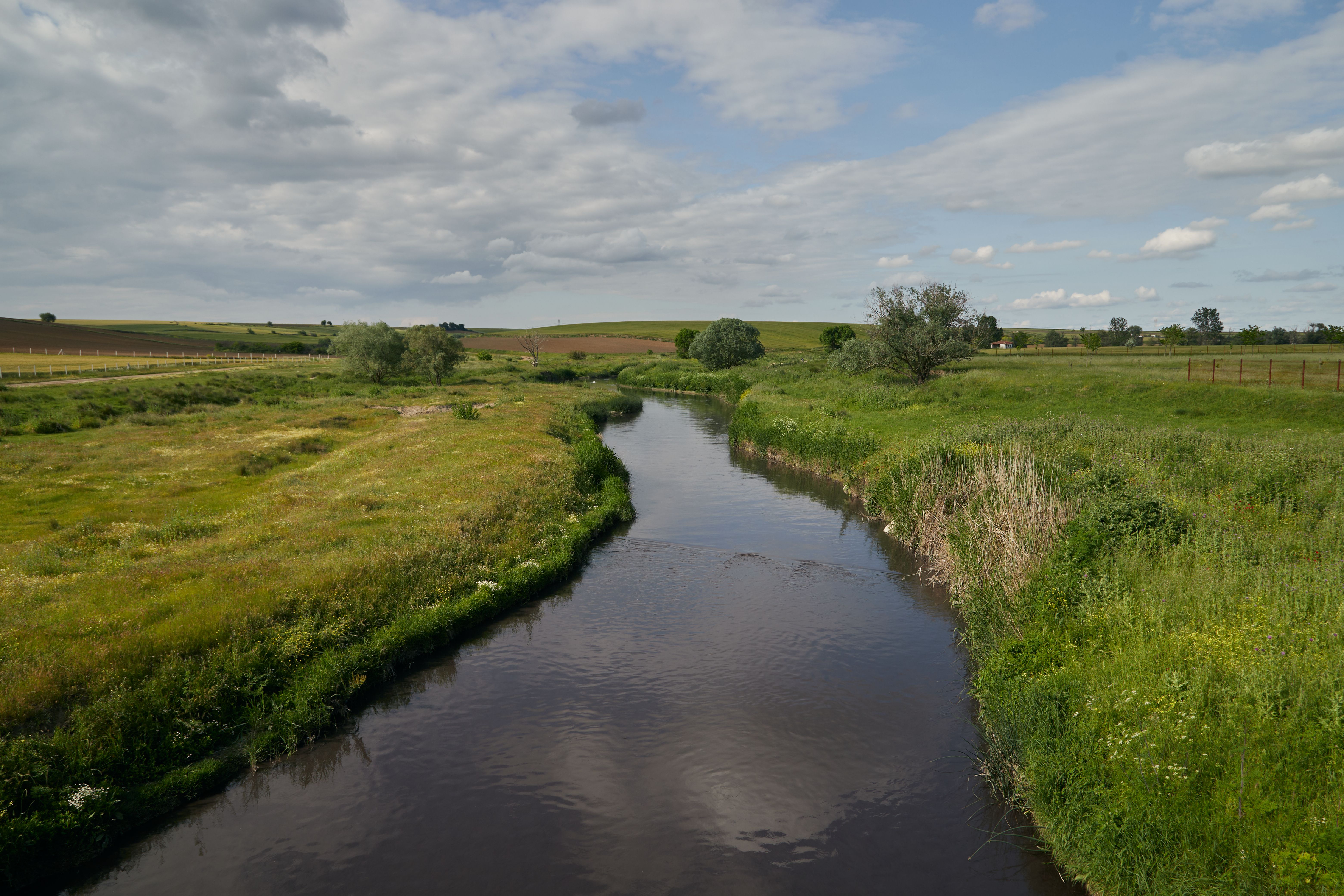Serene Countryside River Flowing Through Green Fields · Free Stock Photo