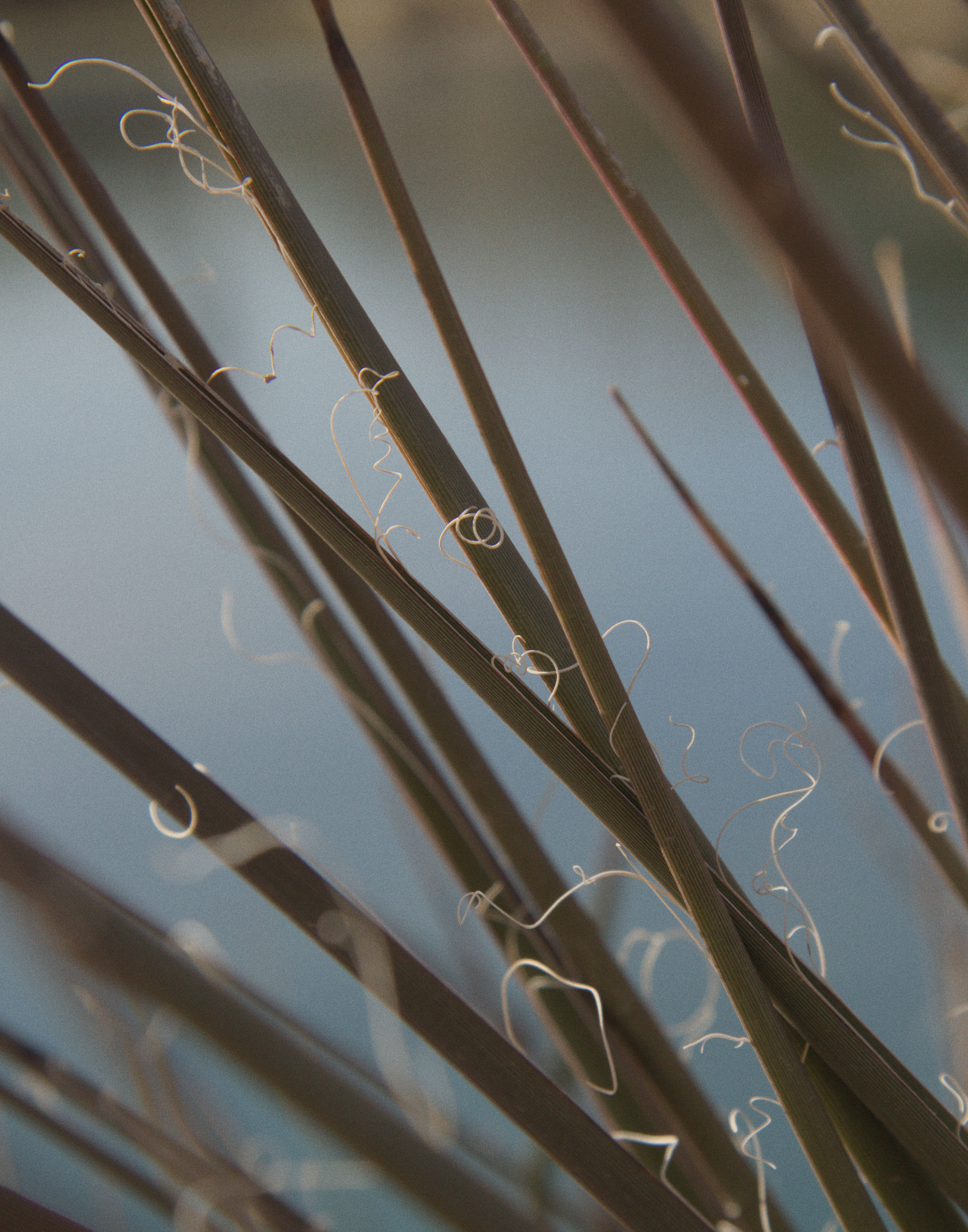 Darktable Bearbeitung Photos, Download The BEST Free Darktable ...