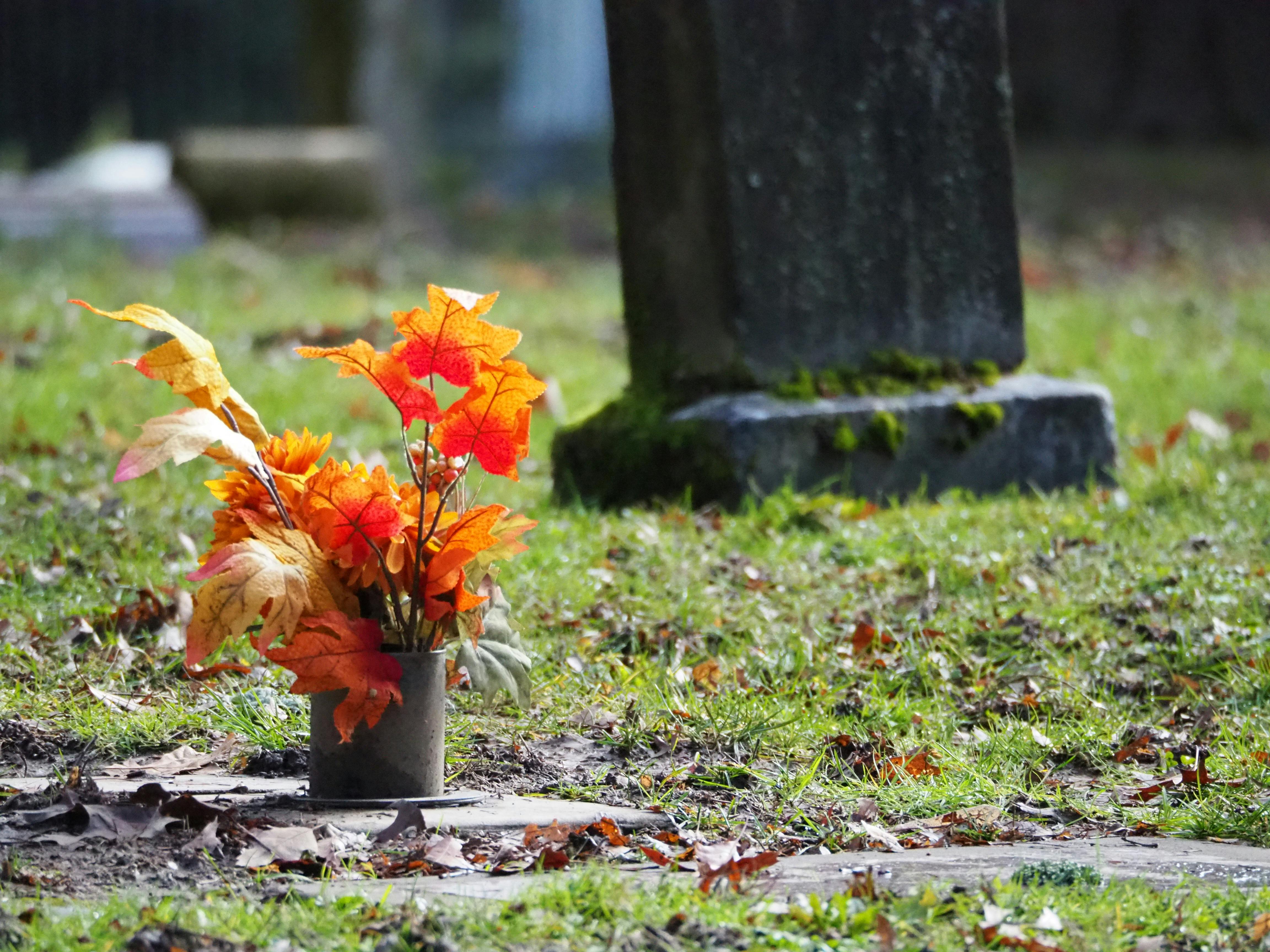 Autumn Flowers at a Cemetery Grave Marker · Free Stock Photo