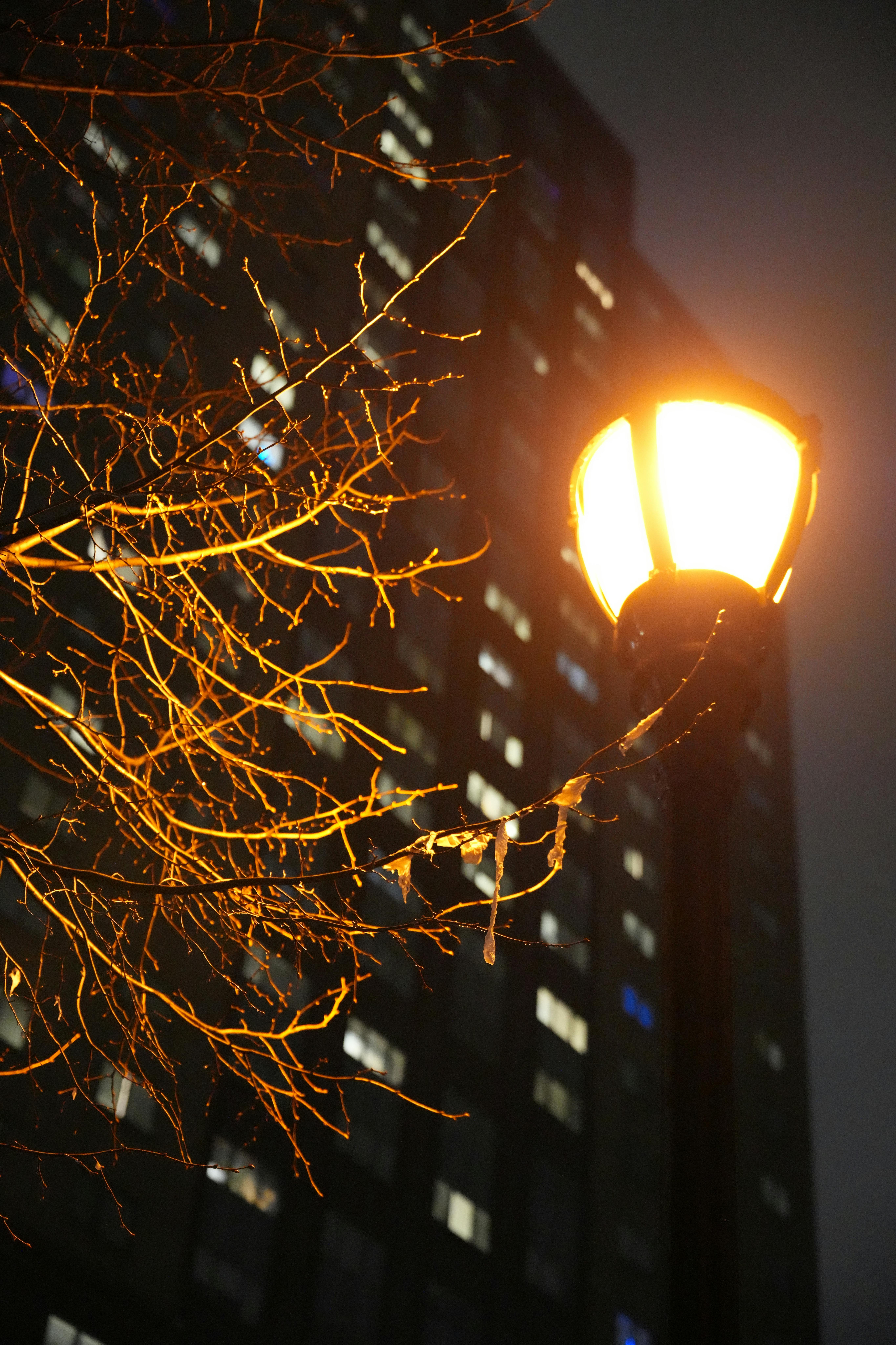 Night City View with Illuminated Lamp Post · Free Stock Photo