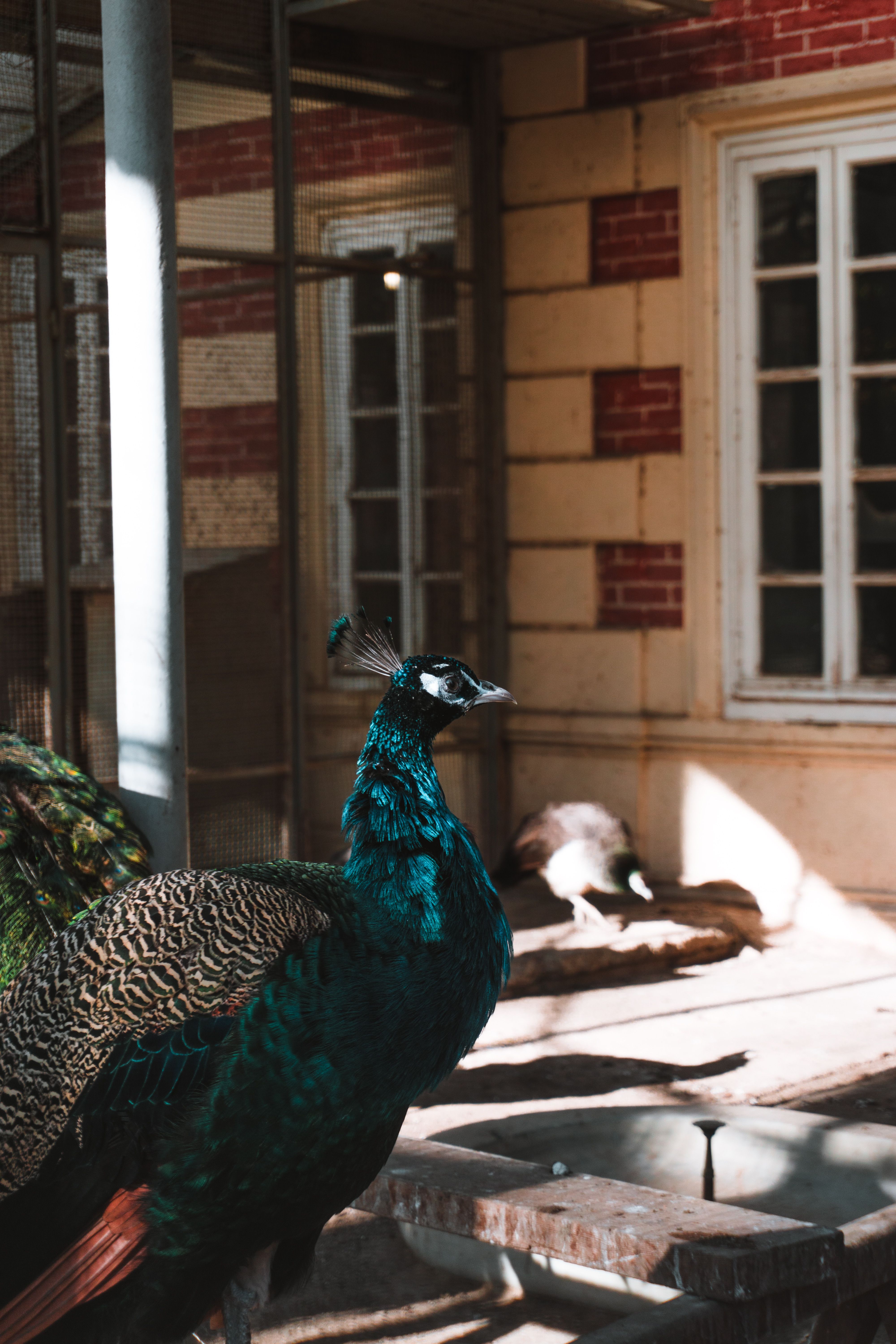 Zoo Interior Photos, Download The BEST Free Zoo Interior Stock Photos ...