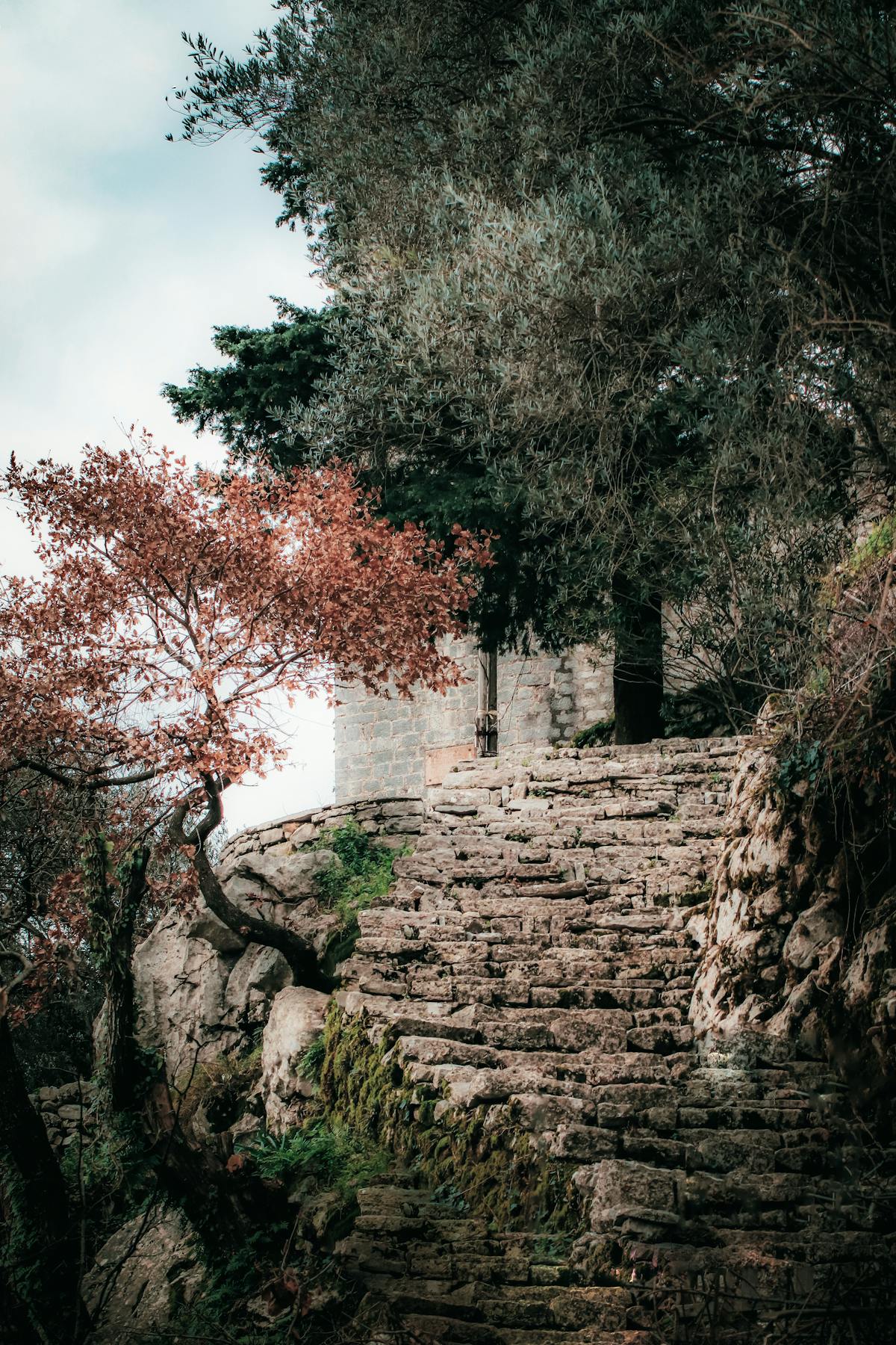 Free Downloads Photos, Download The BEST Free Free Downloads Stock ...