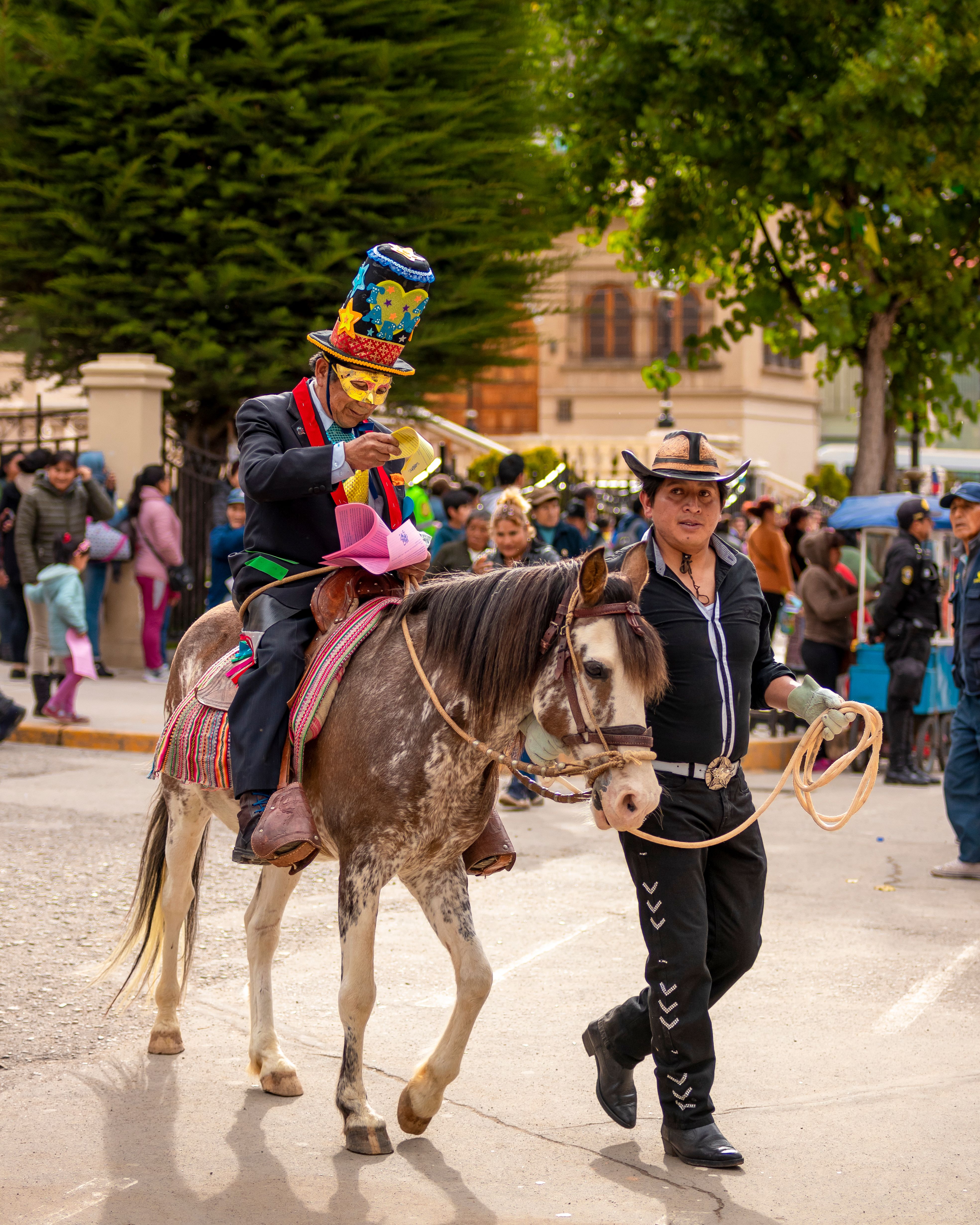 Colorful Traditional Parade with Horse and Rider · Free Stock Photo