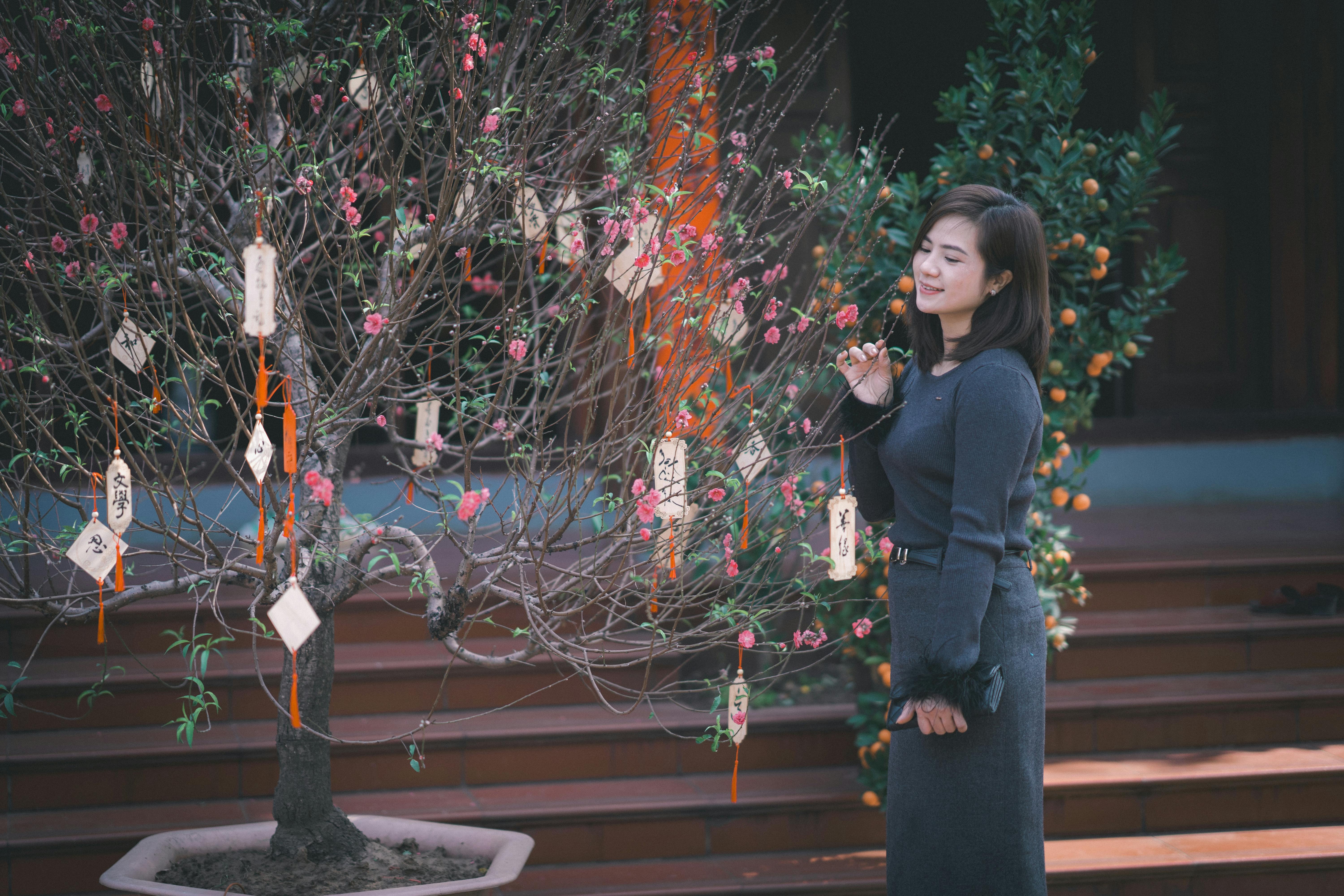 Transplanting Peach Trees: A Simple Step-by-Step Guide