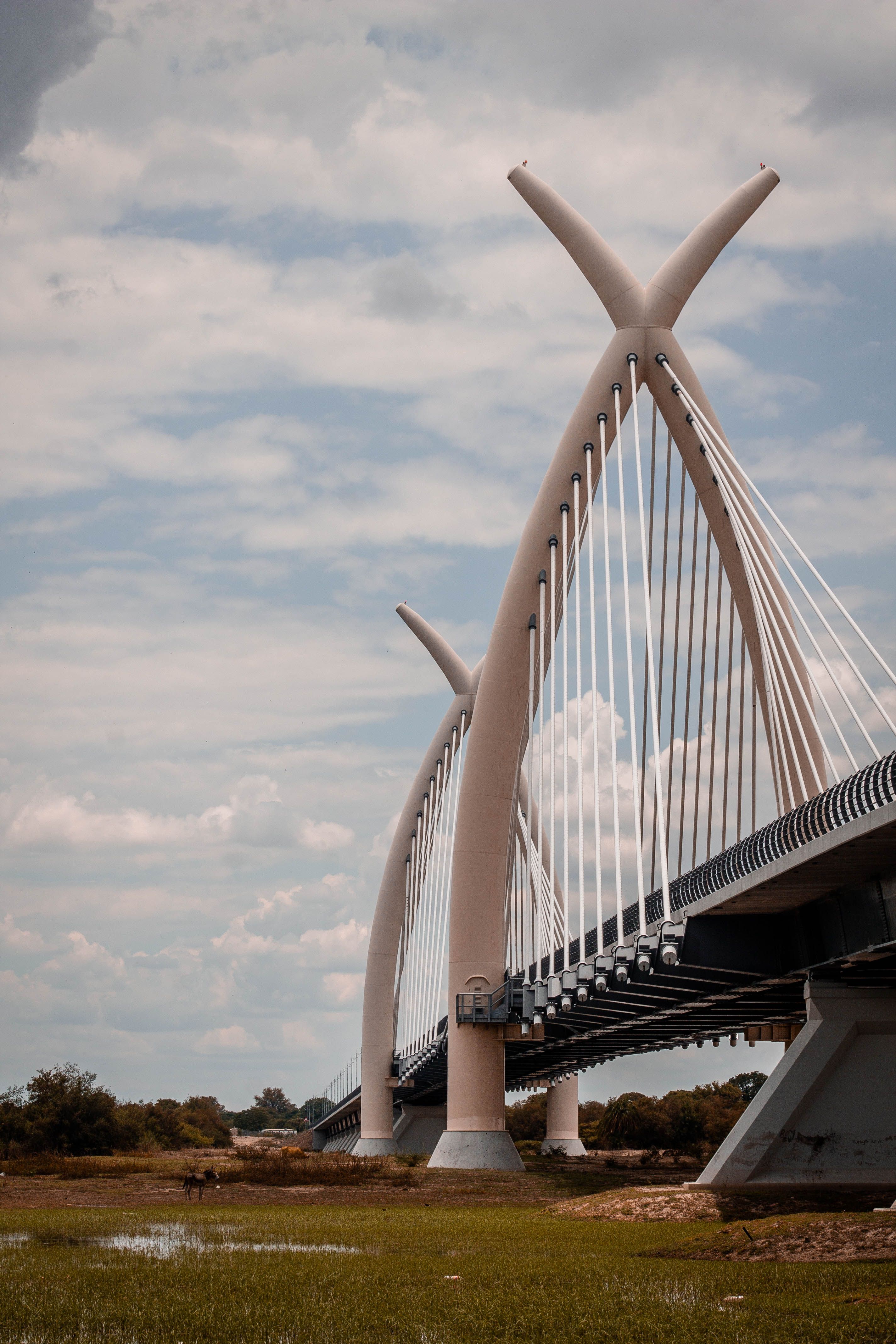 Puente Arquitectónico Moderno En Botsuana · Foto de stock gratuita