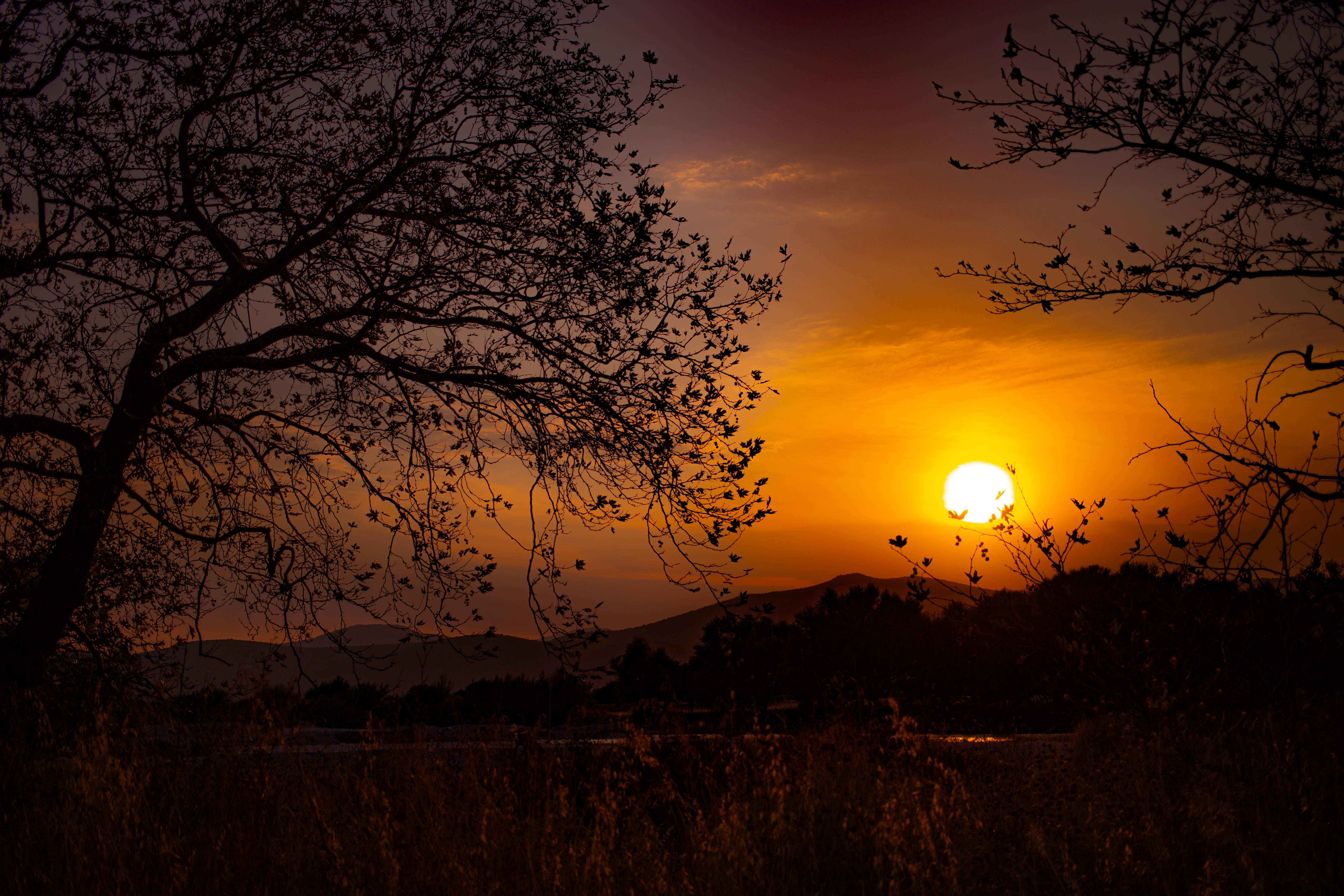 Golden Sunset over Greek Landscape · Free Stock Photo