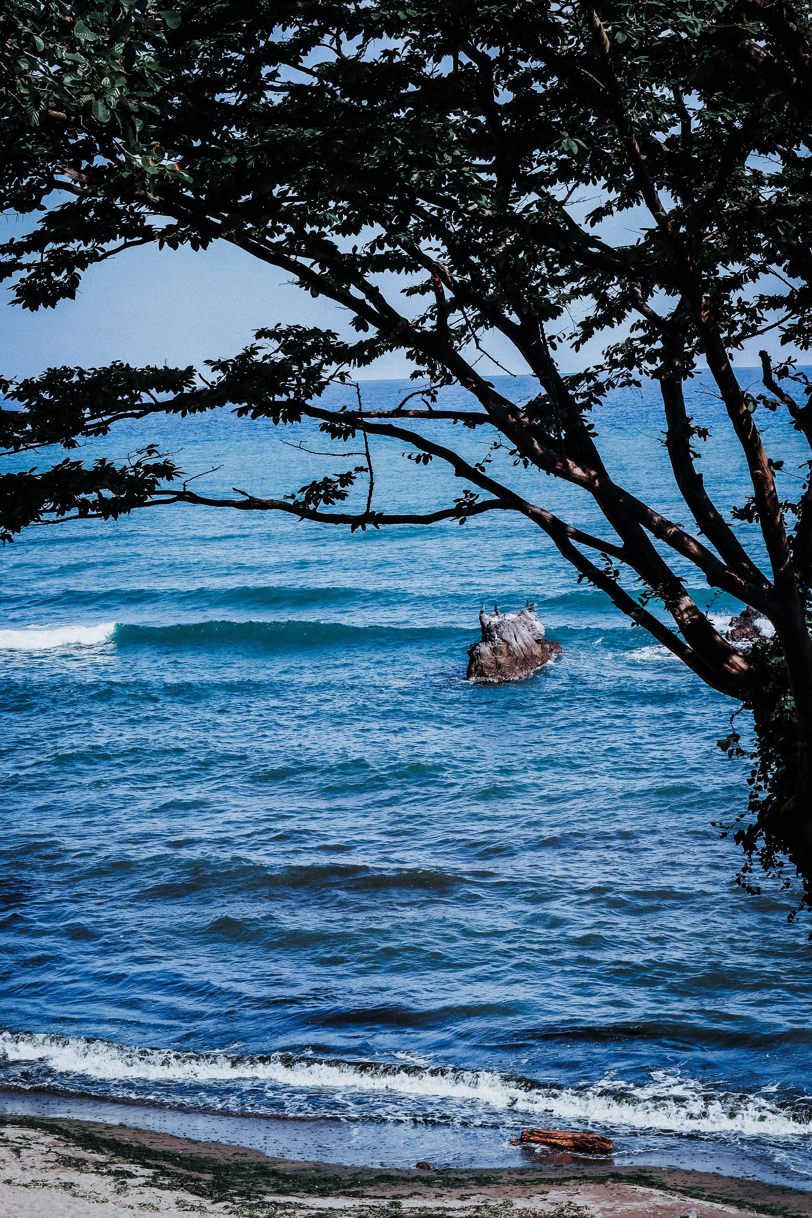 Pantai Yang Tenang Dengan Siluet Pohon Dan Ombak Laut · Foto Stok Gratis