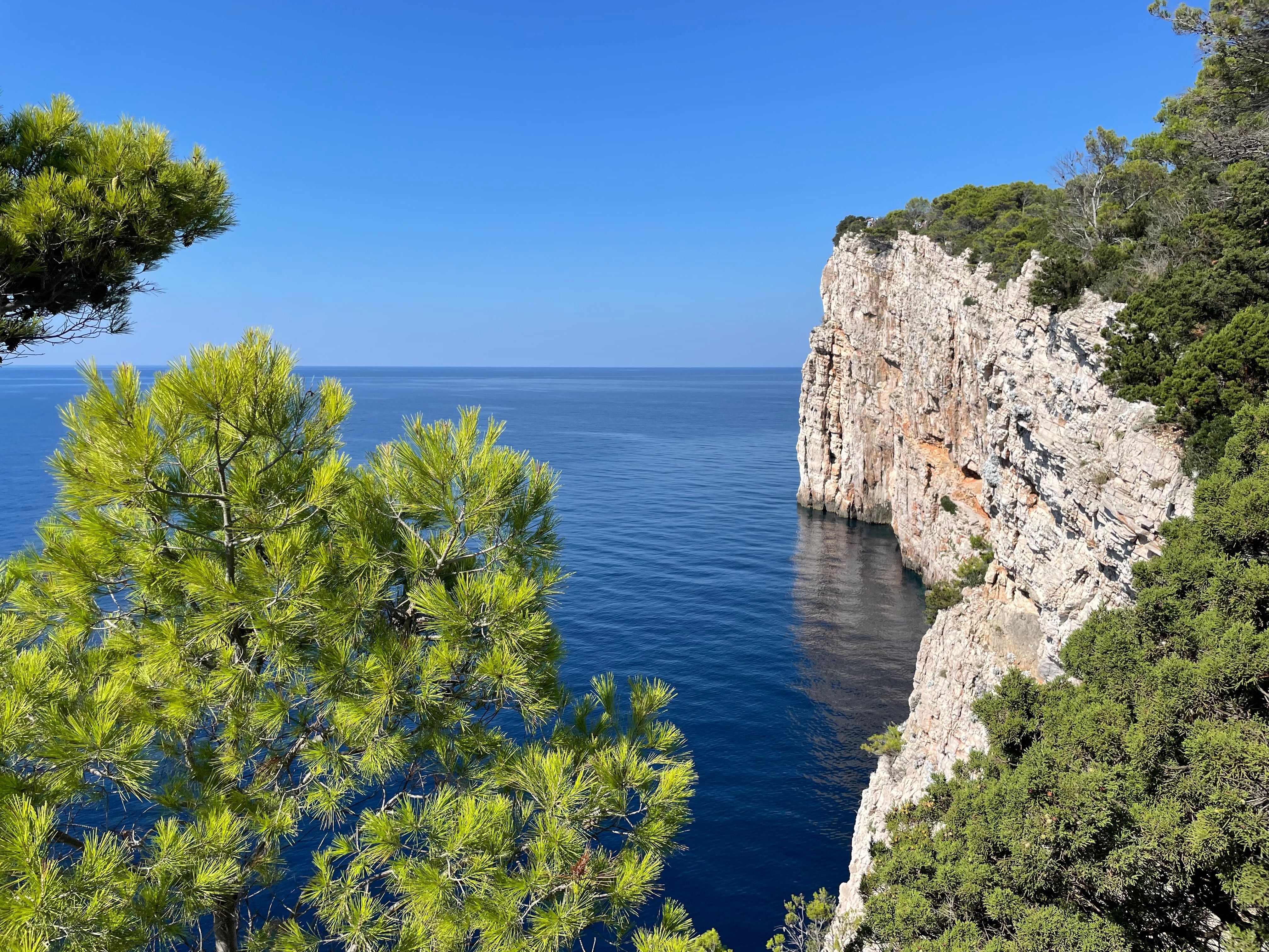 Scenic Cliffside and Ocean View with Pine Trees · Free Stock Photo