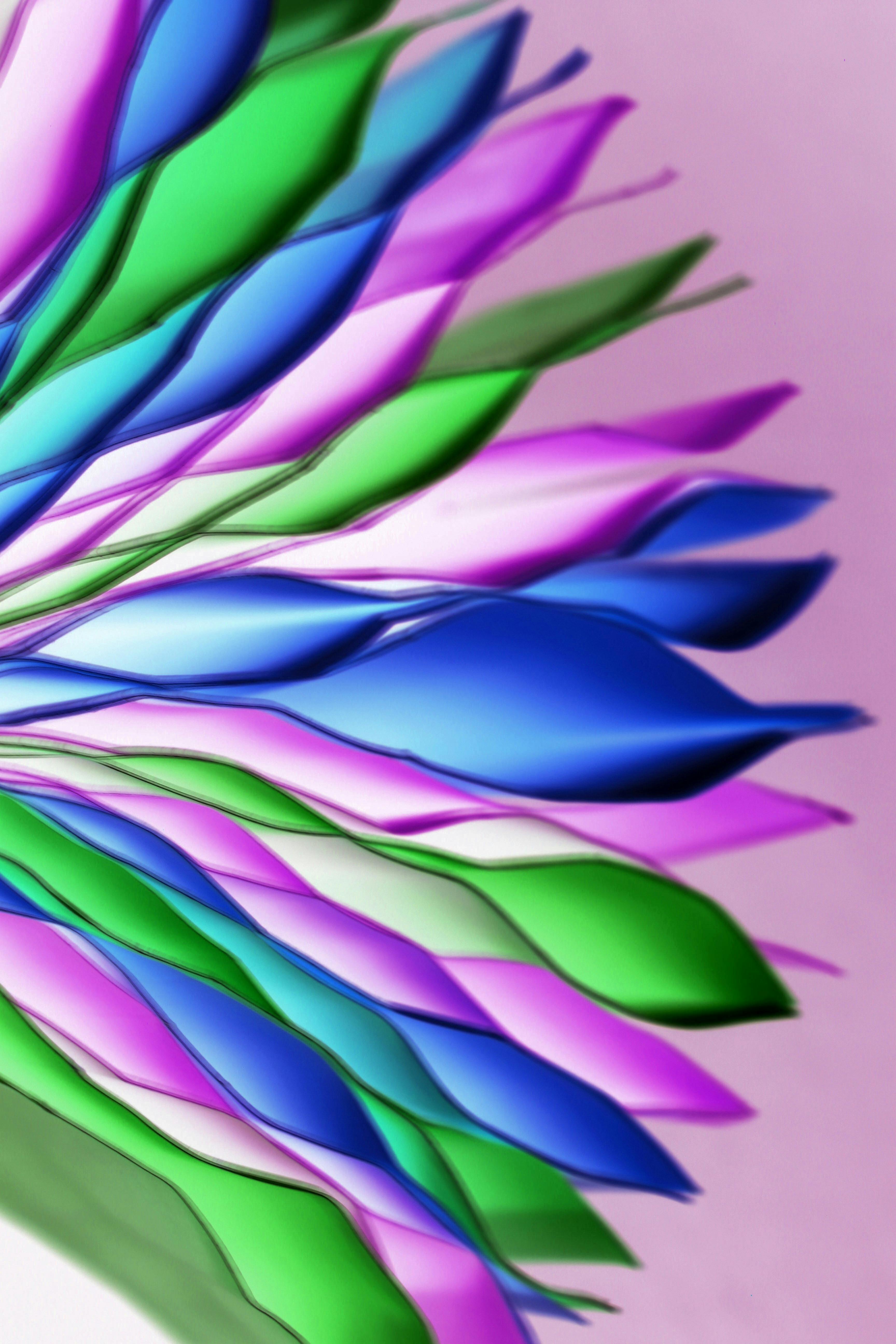 Colorful Abstract Flower Petals Artwork · Free Stock Photo