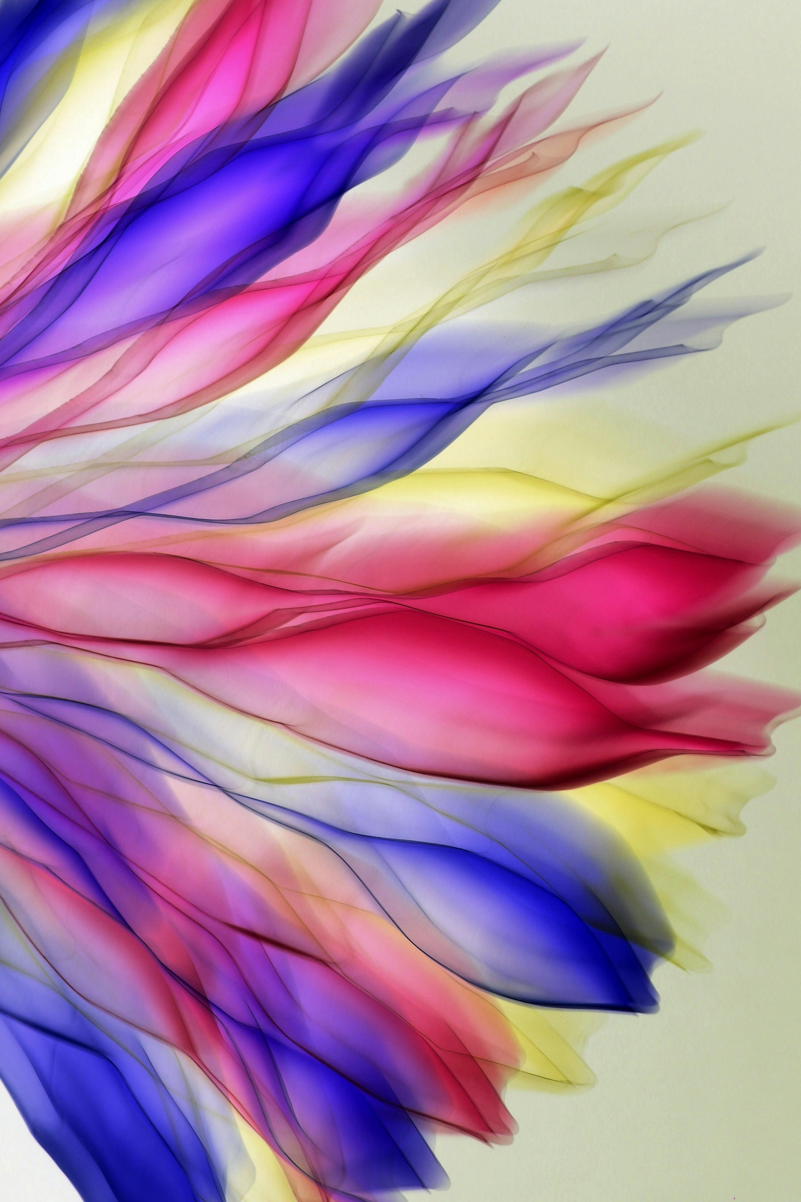 T5+Clips Photos, Download The BEST Free T5+Clips Stock Photos & HD Images