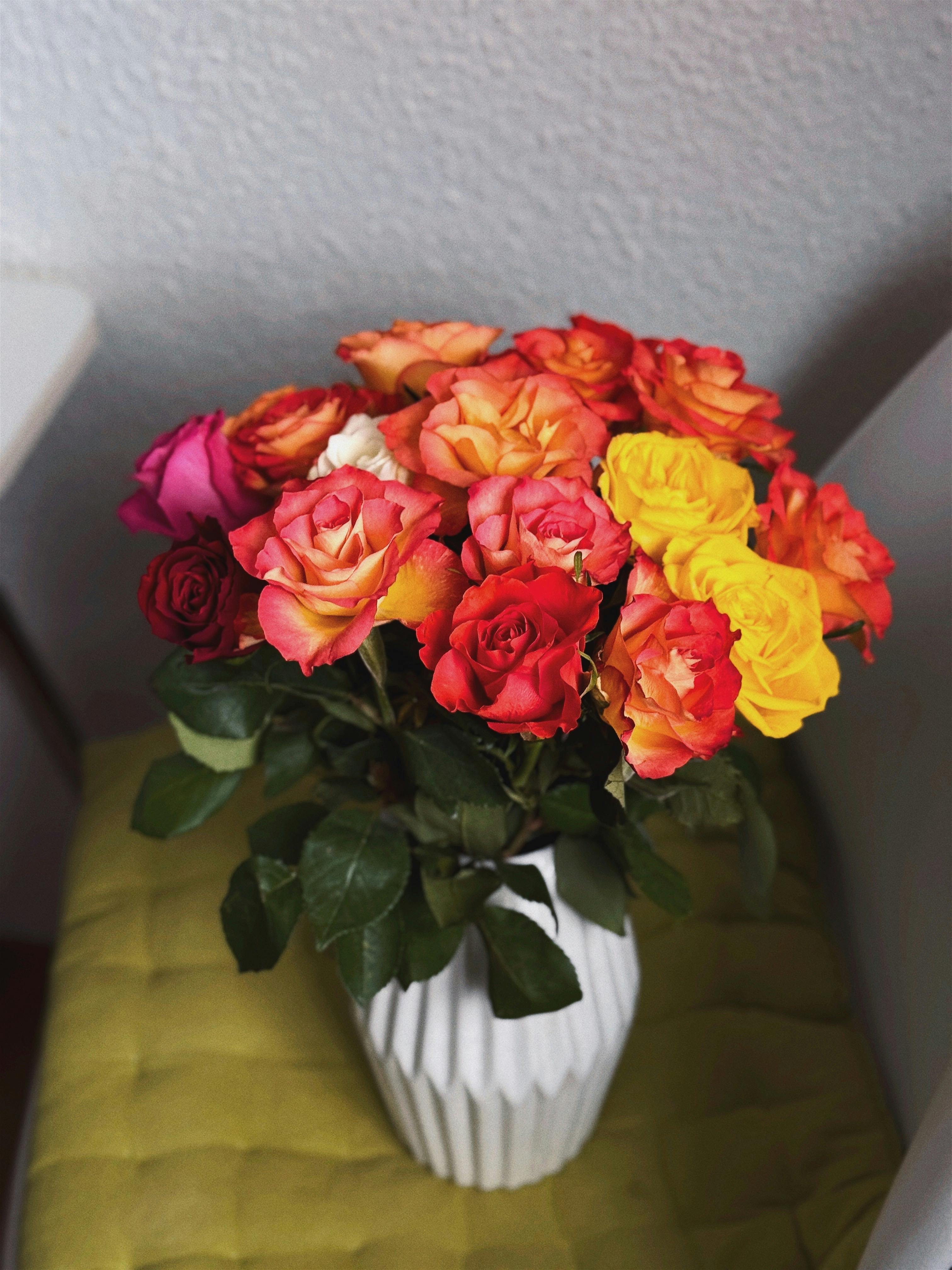 Vibrant Bouquet of Colorful Roses in White Vase · Free Stock Photo
