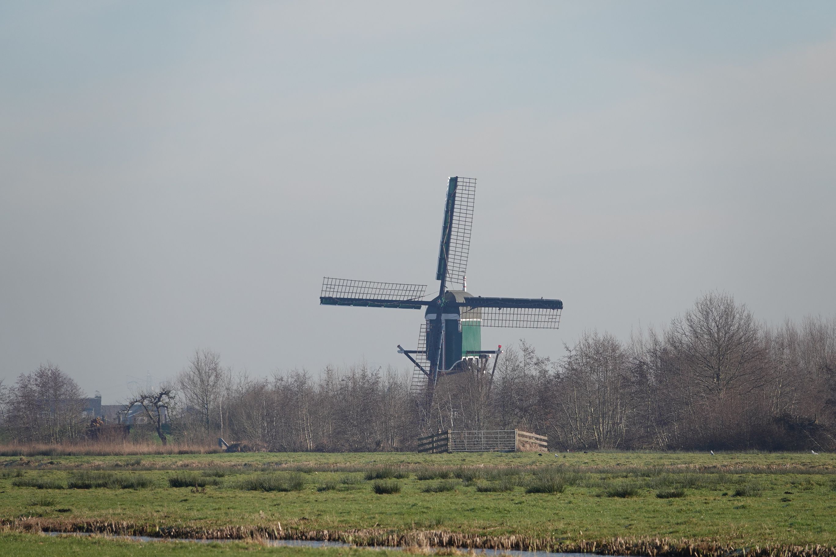 Historic Dutch Windmill in Reeuwijk Landscape · Free Stock Photo