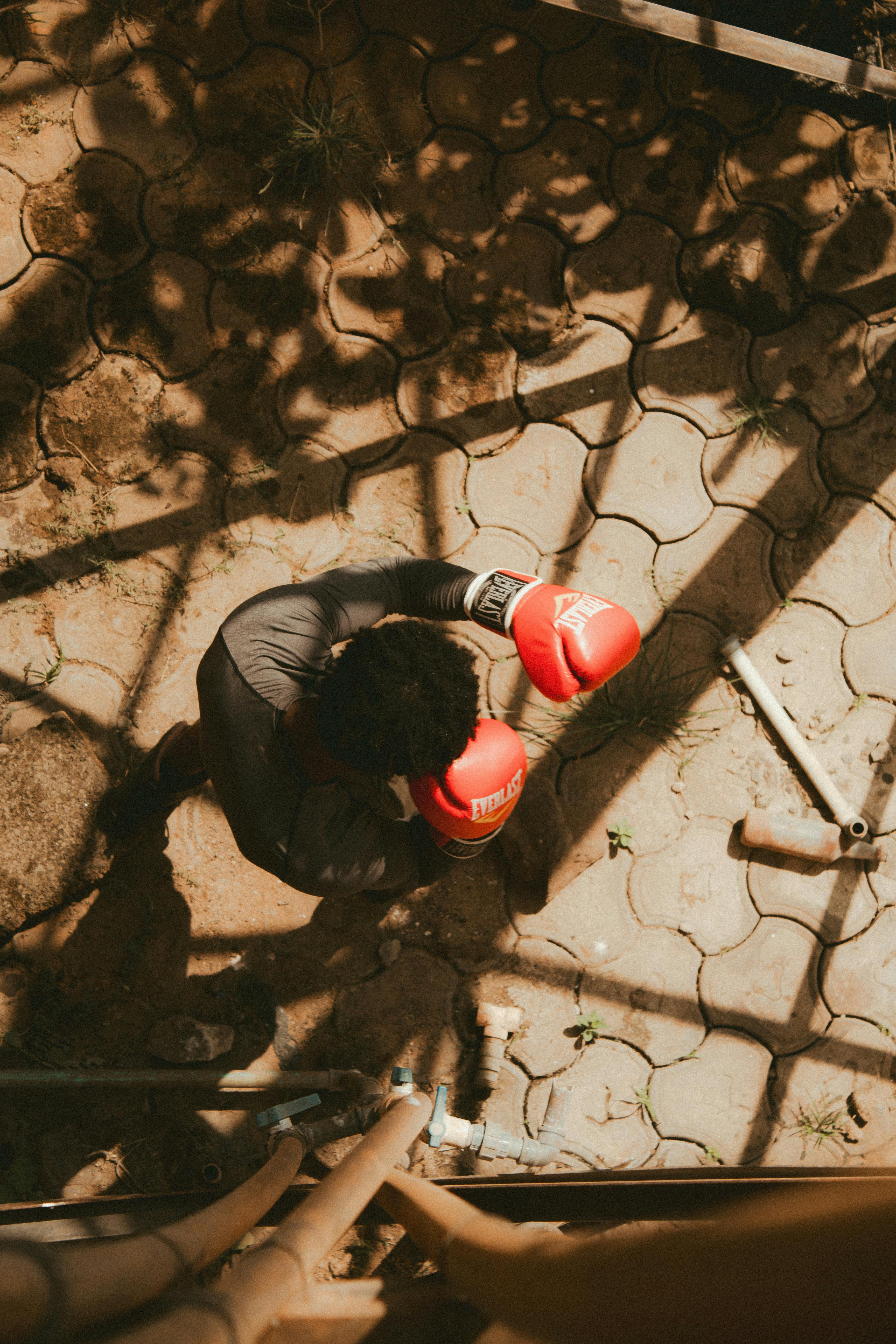 Aerial View of Boxer Training Outdoors · Free Stock Photo