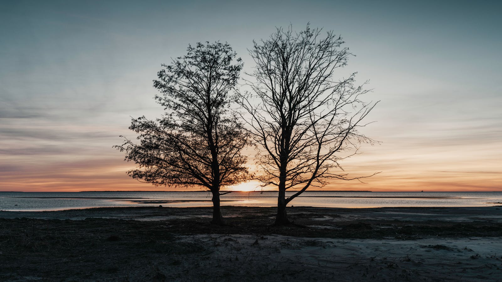 Sea Eater Photos, Download The BEST Free Sea Eater Stock Photos & HD Images