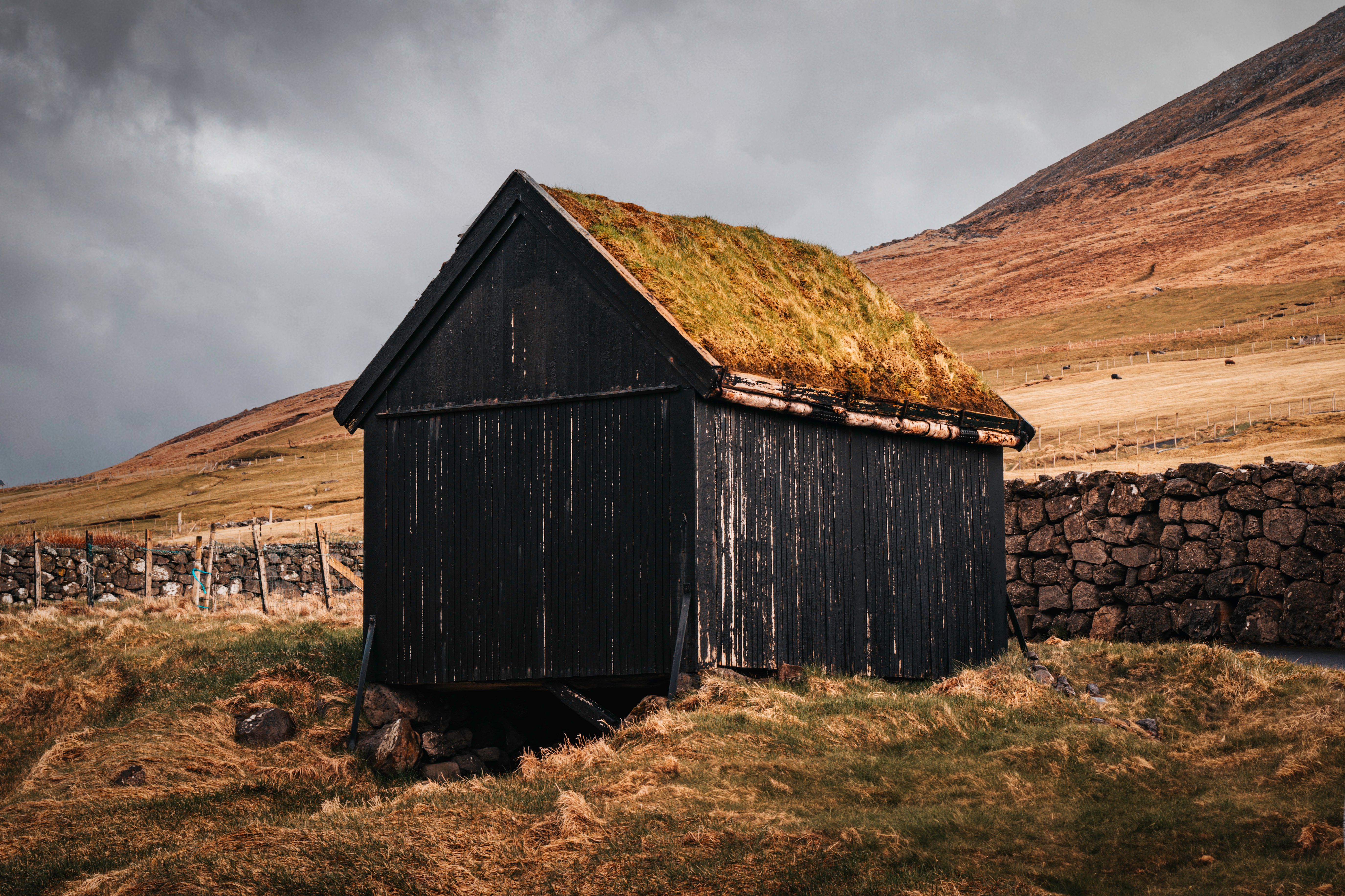 Rustic Black Hut with Green Roof in Countryside · Free Stock Photo