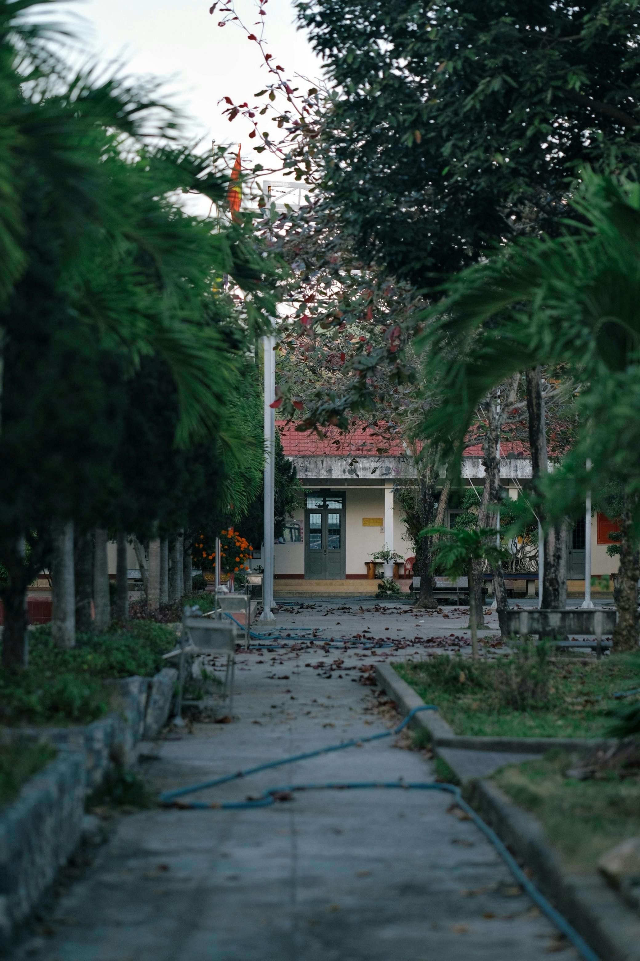 Peaceful Pathway Through Lush Greenery · Free Stock Photo