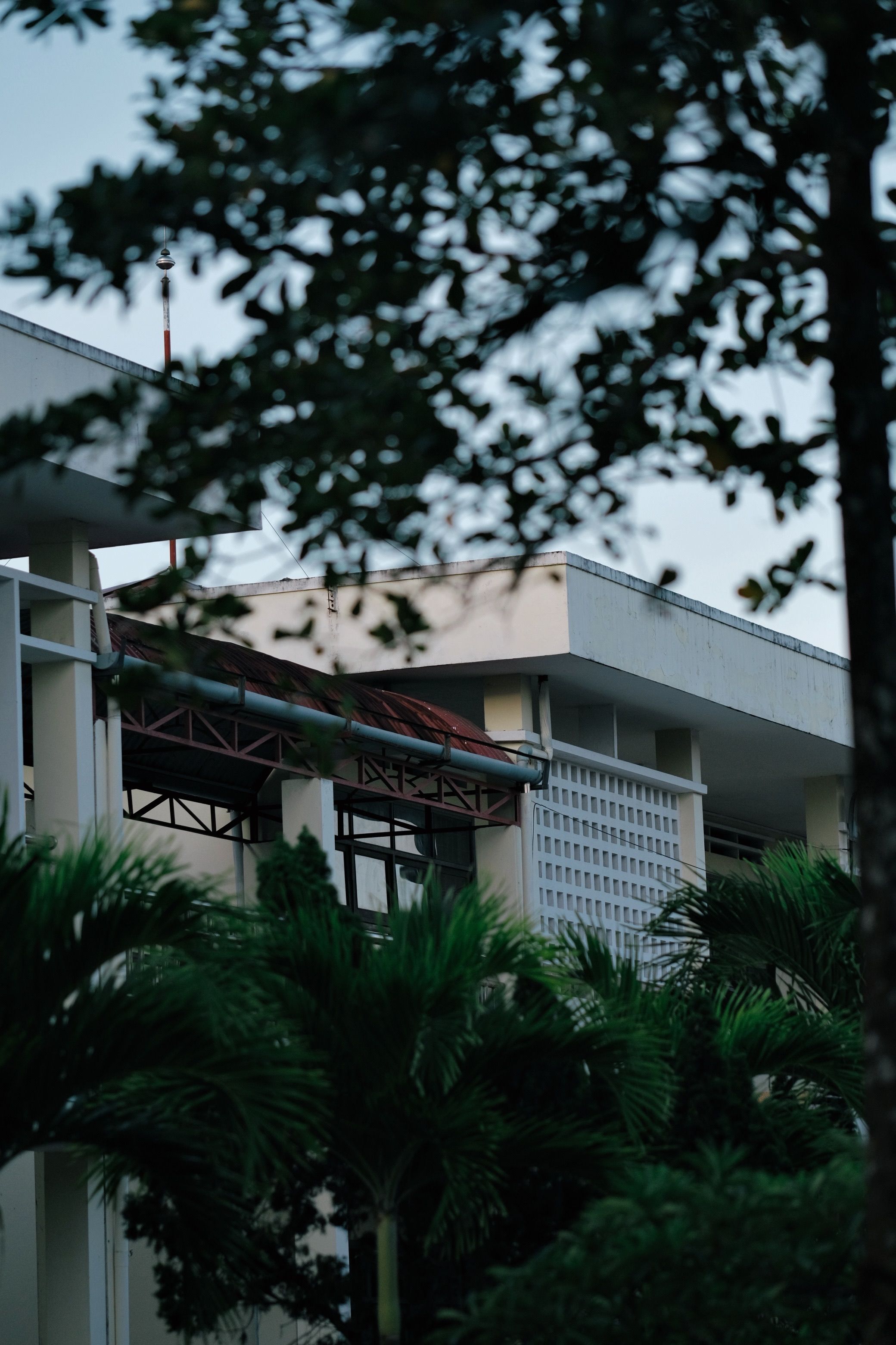 Modern Building with Tropical Foliage · Free Stock Photo