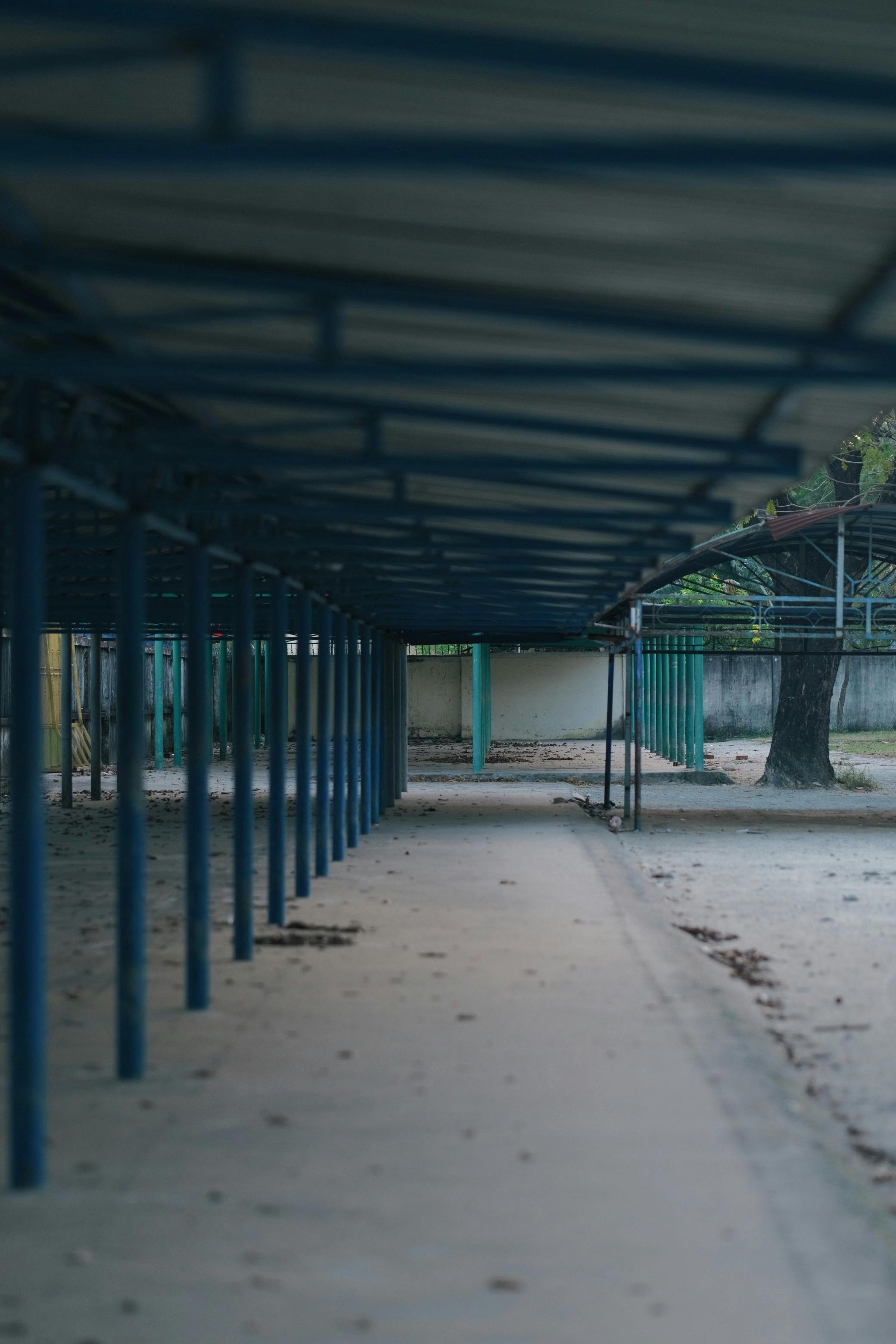 Canopy+Pic Photos, Download The BEST Free Canopy+Pic Stock Photos & HD ...