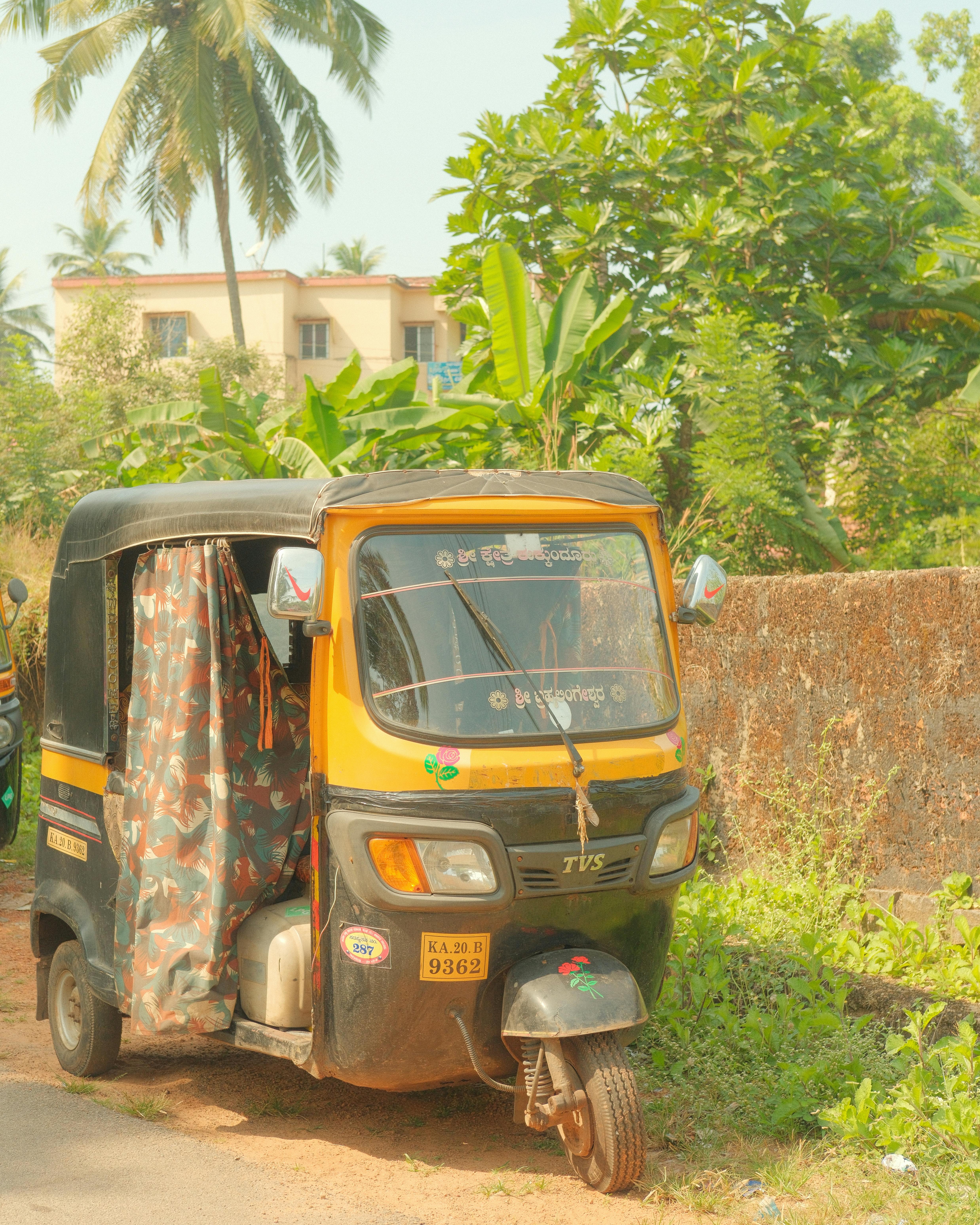 Auto Rickshaw on a Lush Indian Street · Free Stock Photo