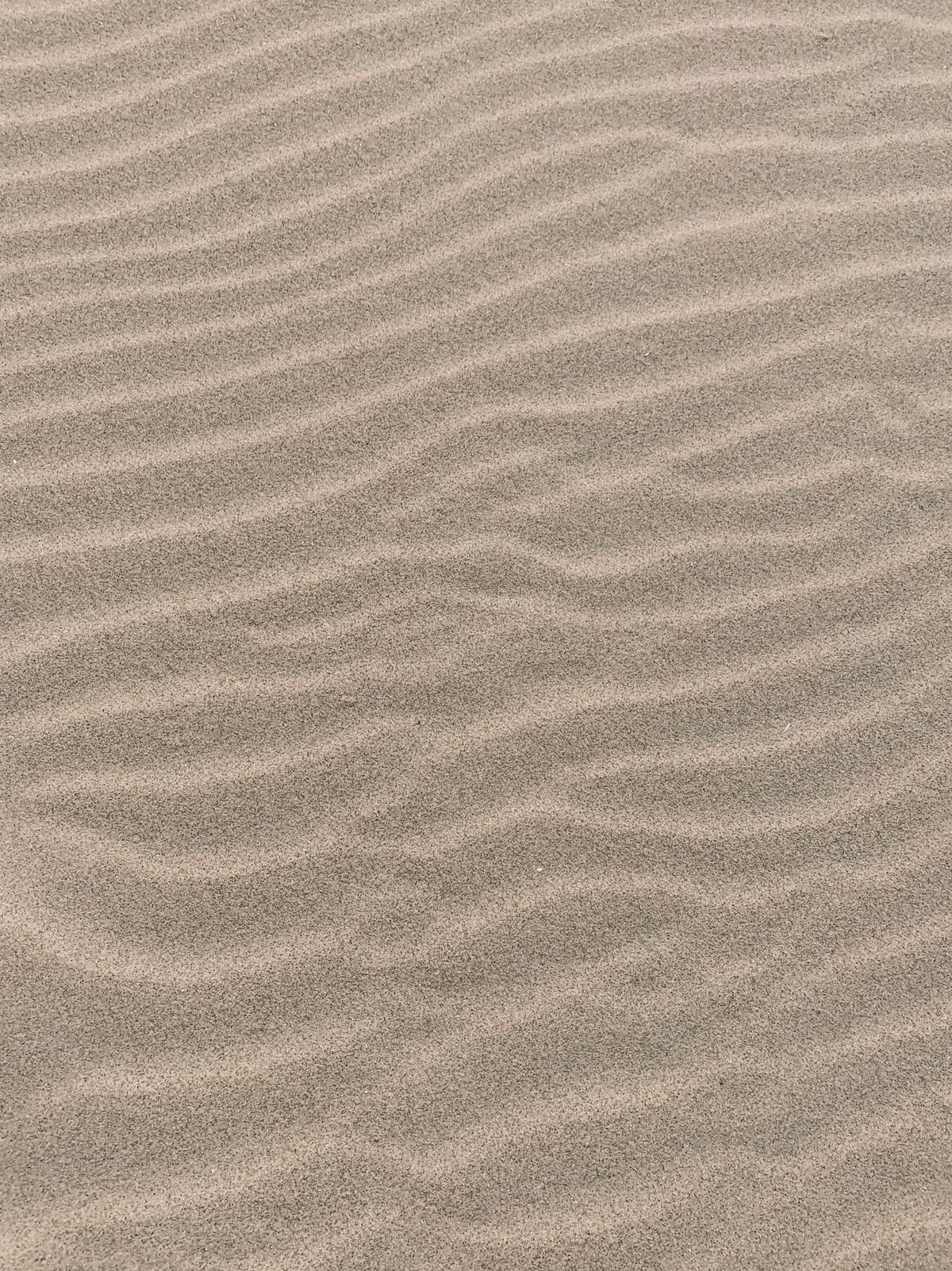Sand Background Photos, Download The BEST Free Sand Background Stock ...