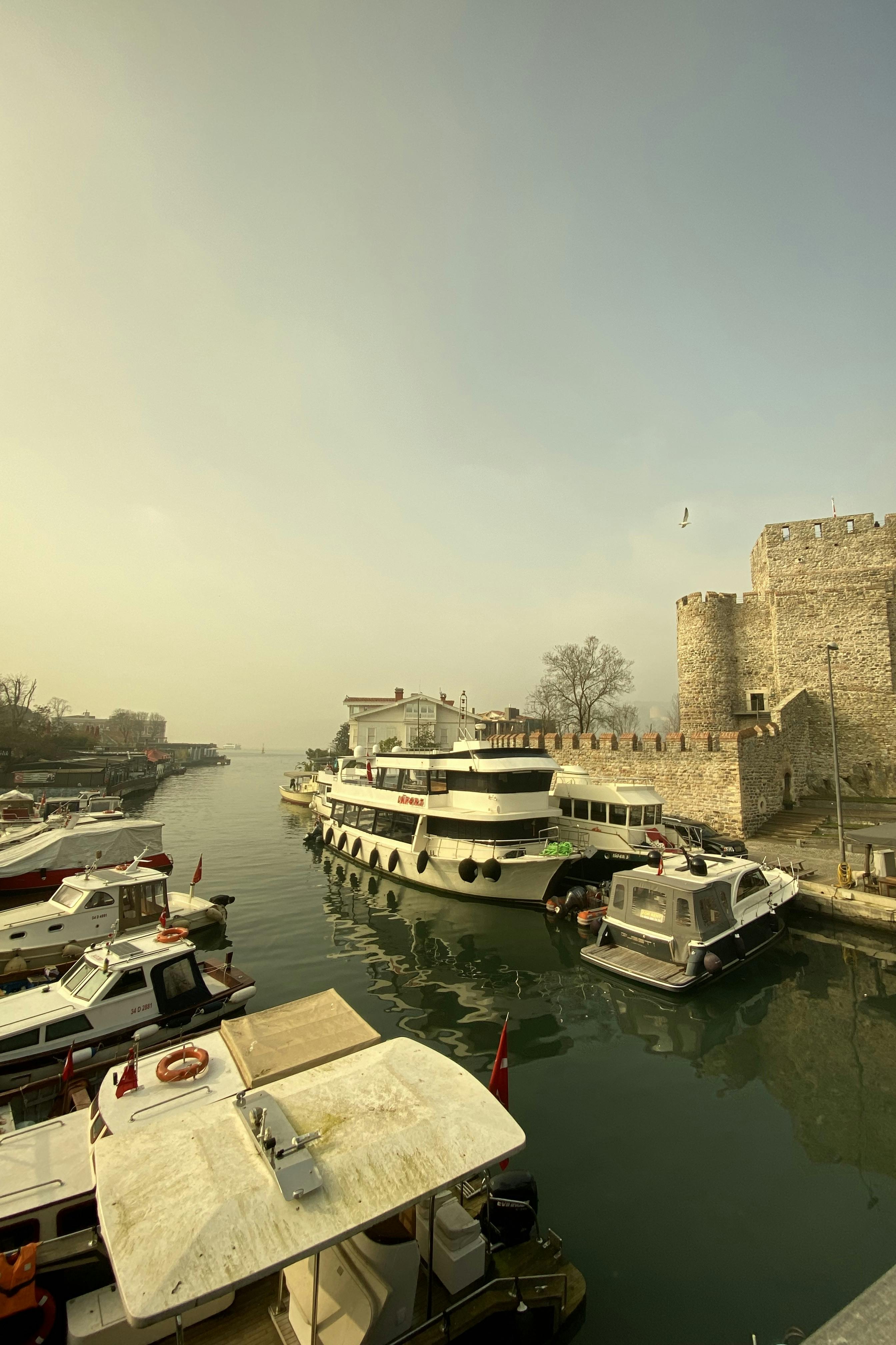 Kwart Moat Photos, Download The BEST Free Kwart Moat Stock Photos & HD ...